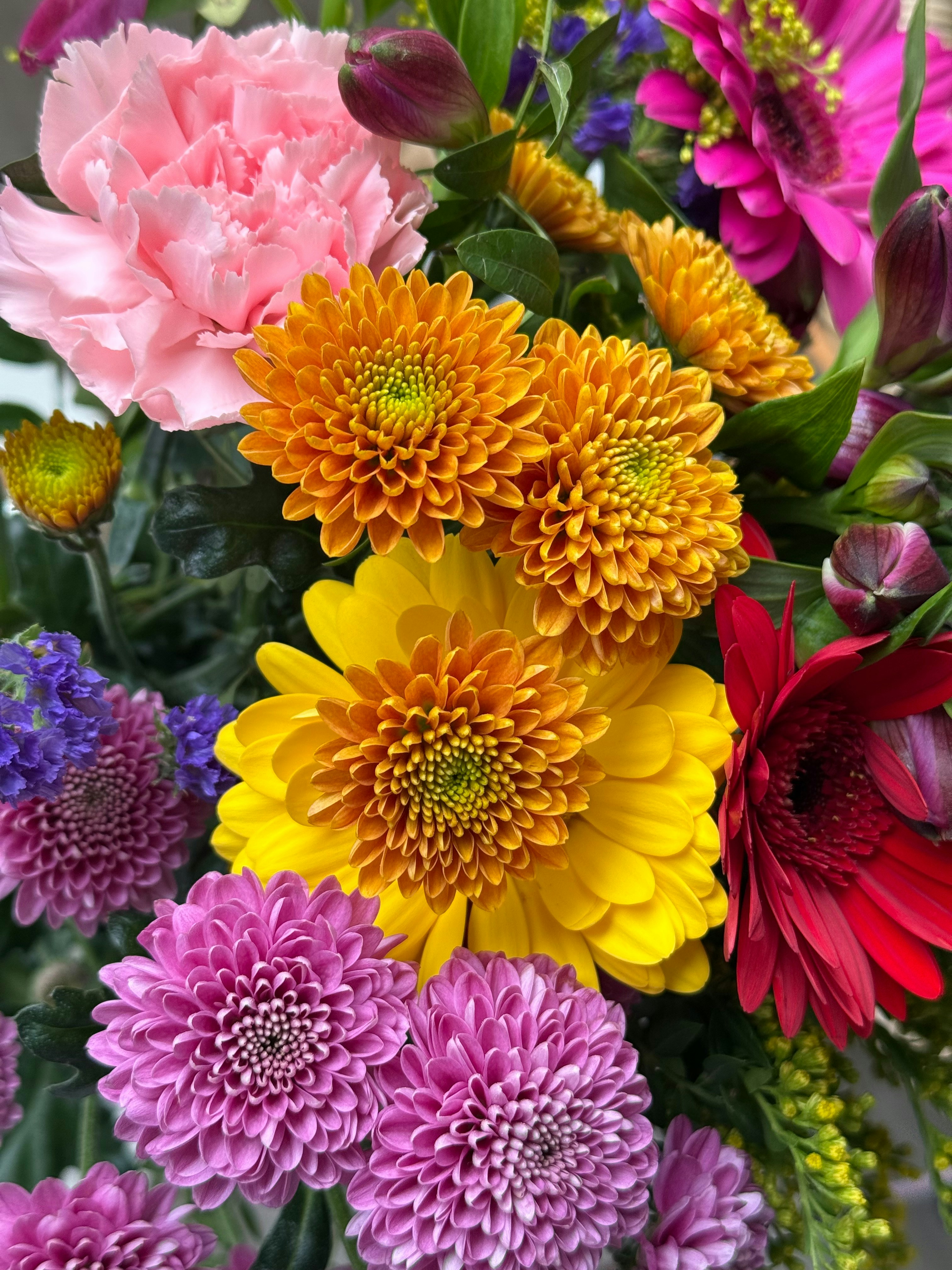 Bloom Burst: a vivid bouquet of chrysanthemum and dahlia in full color