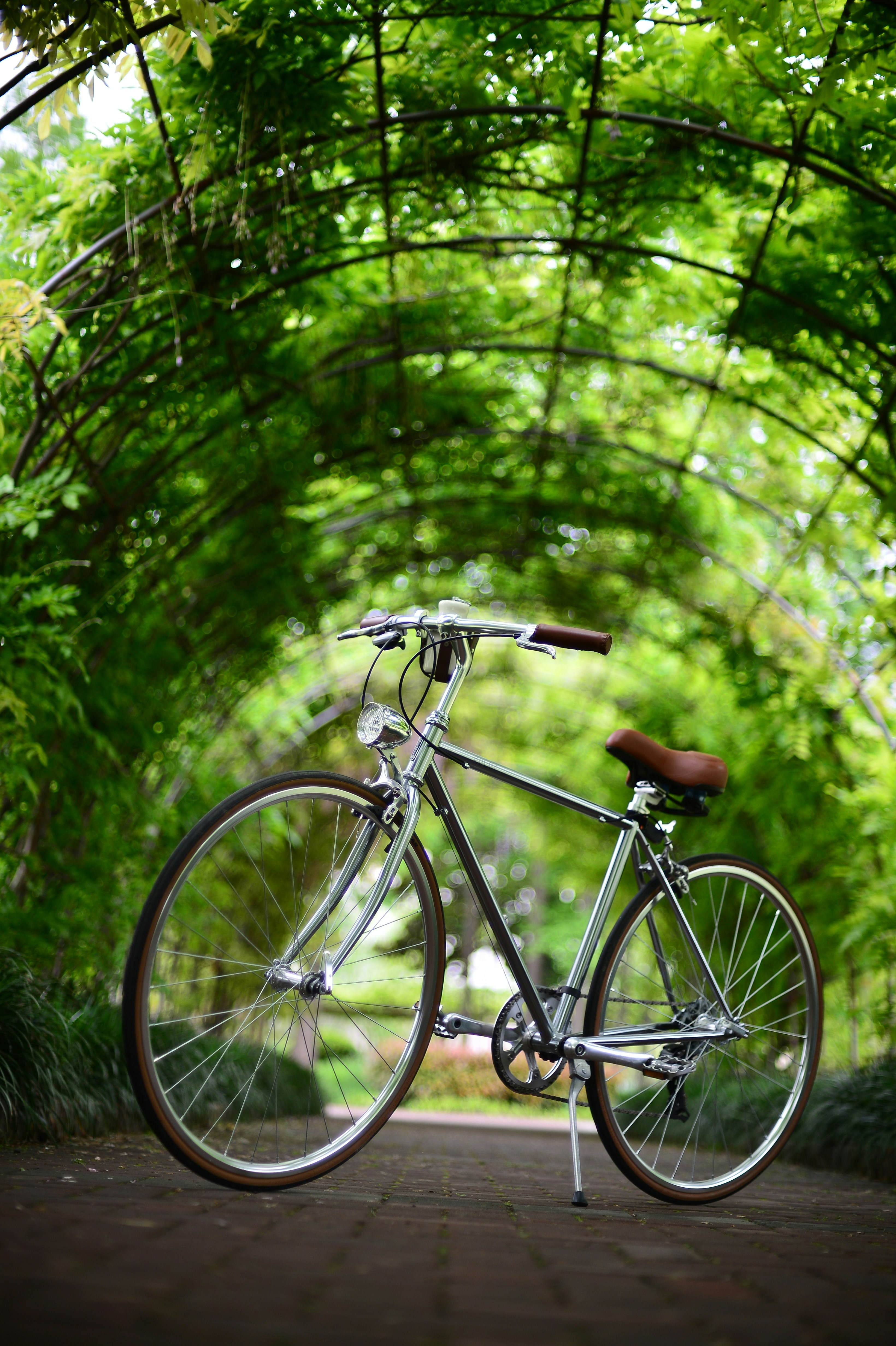 Minted Chrome on a Quiet Green Arc