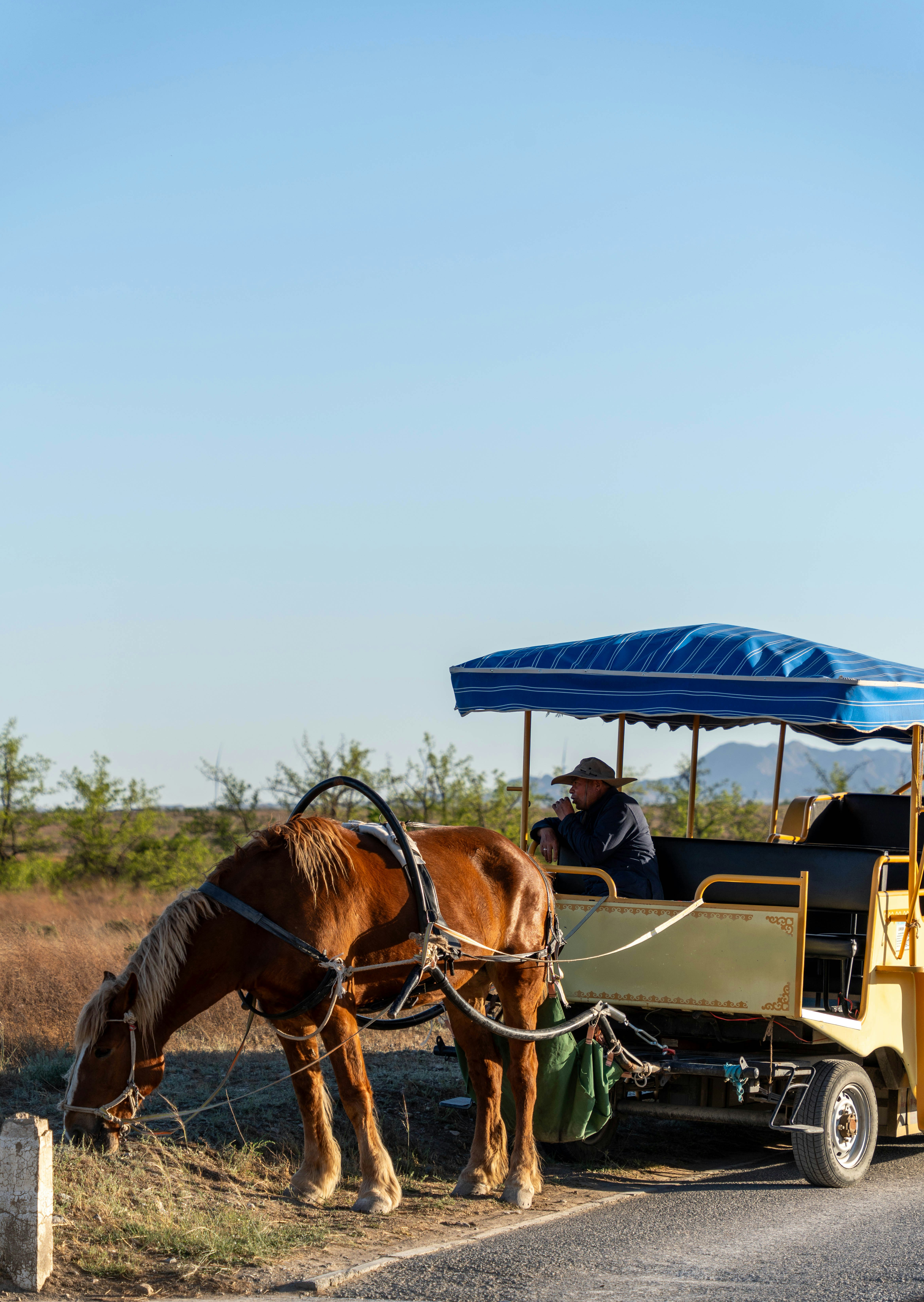 Horse-Drawn Wagon in Quiet Prairie Morning
