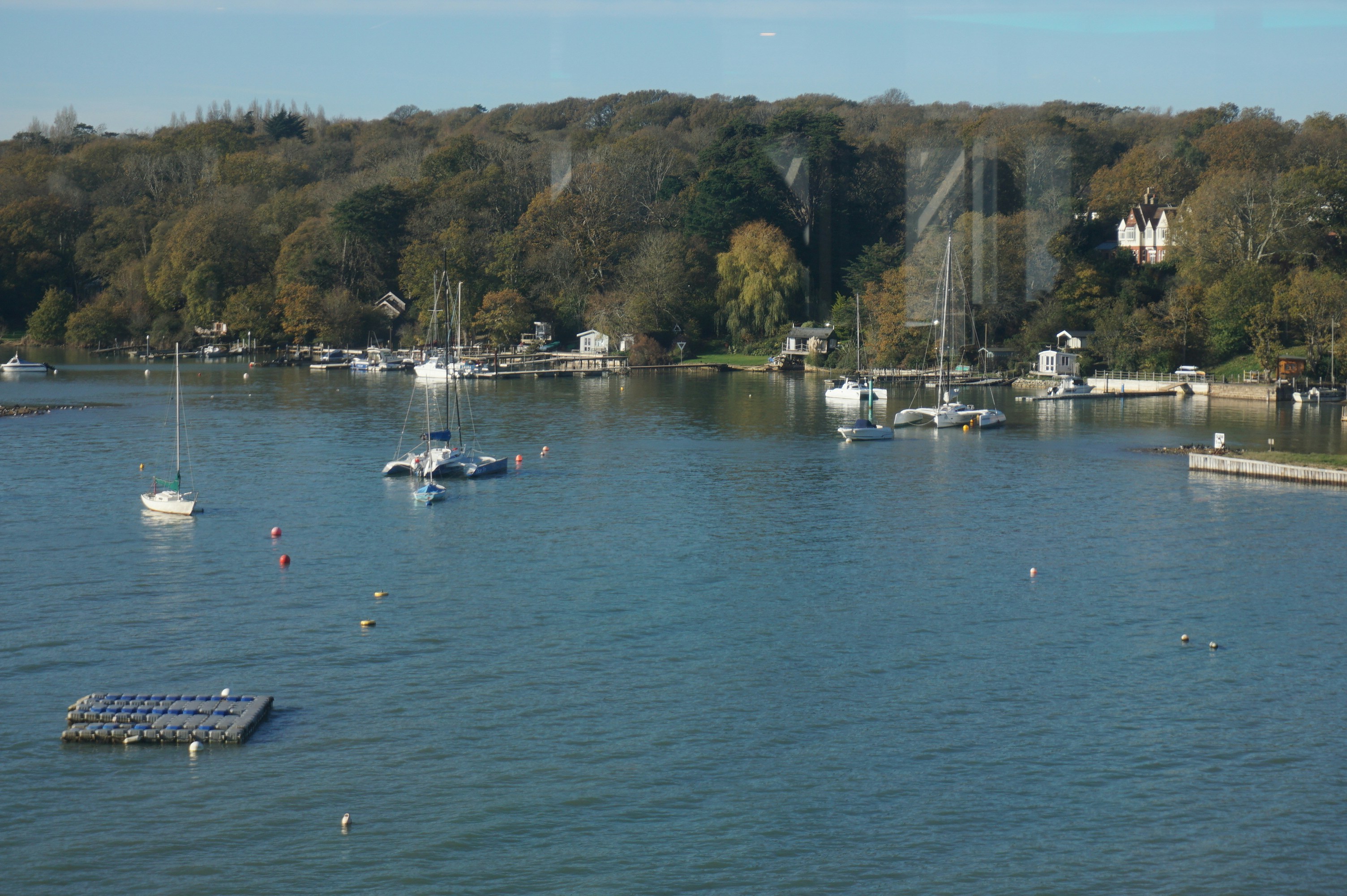 Harbor Horizon: Boats and shoreline under autumn canopy