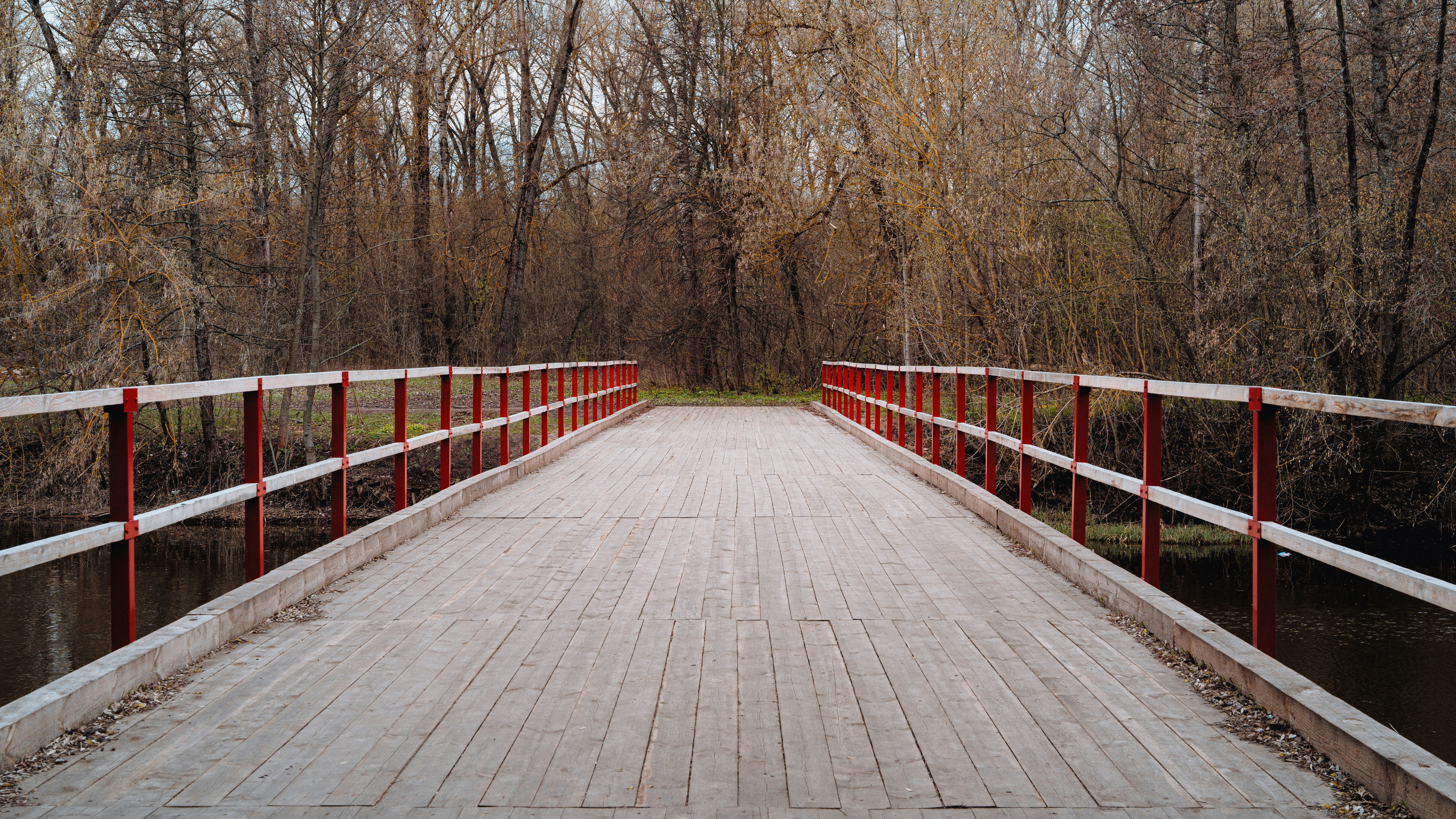Bridge to the Quiet Edge: A Woodway Path Over Still Water