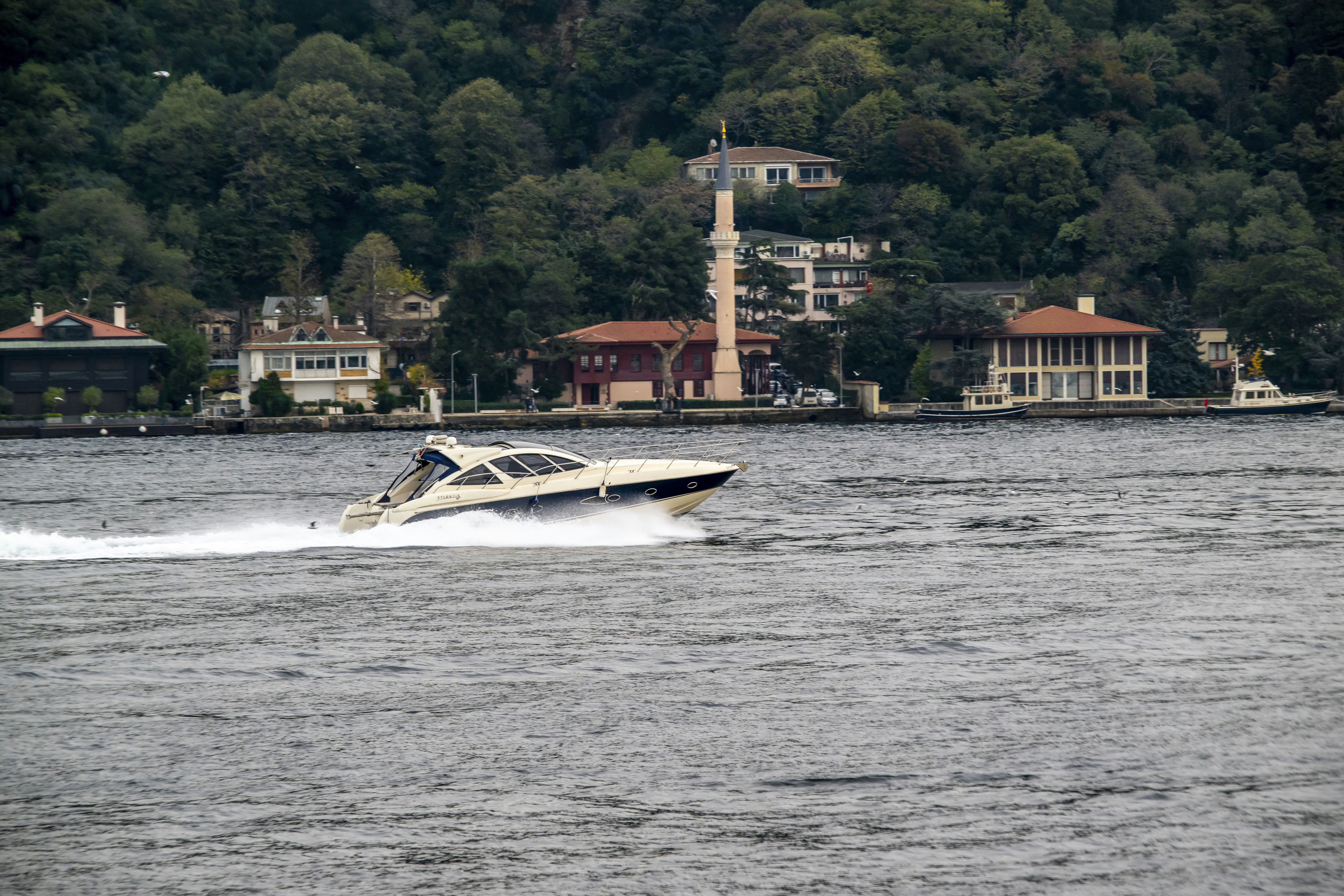 Jet-boat Slice of Lake Townlife