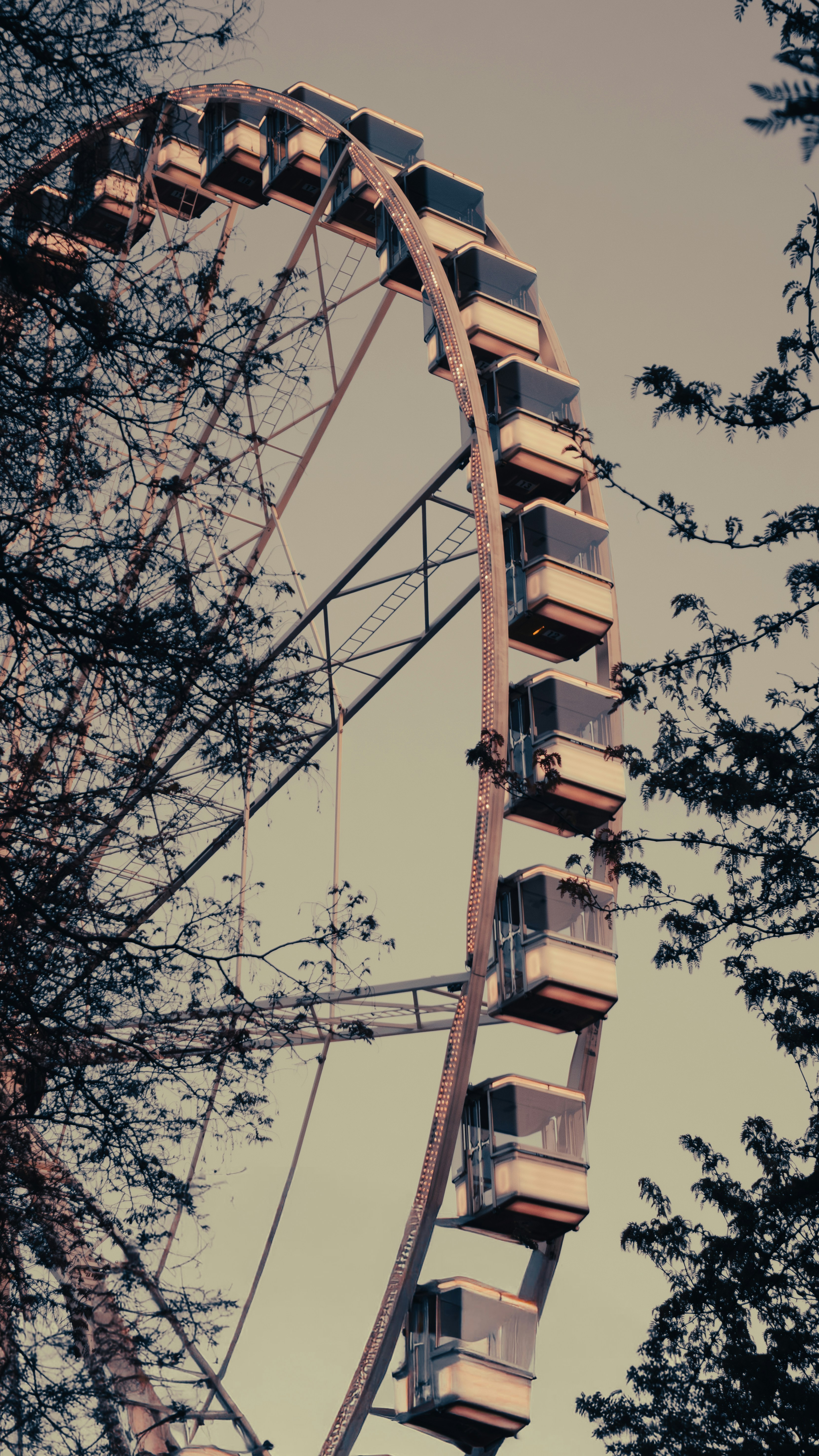 Circle of Quiet Gravity: A Ferris Wheel at Dusk