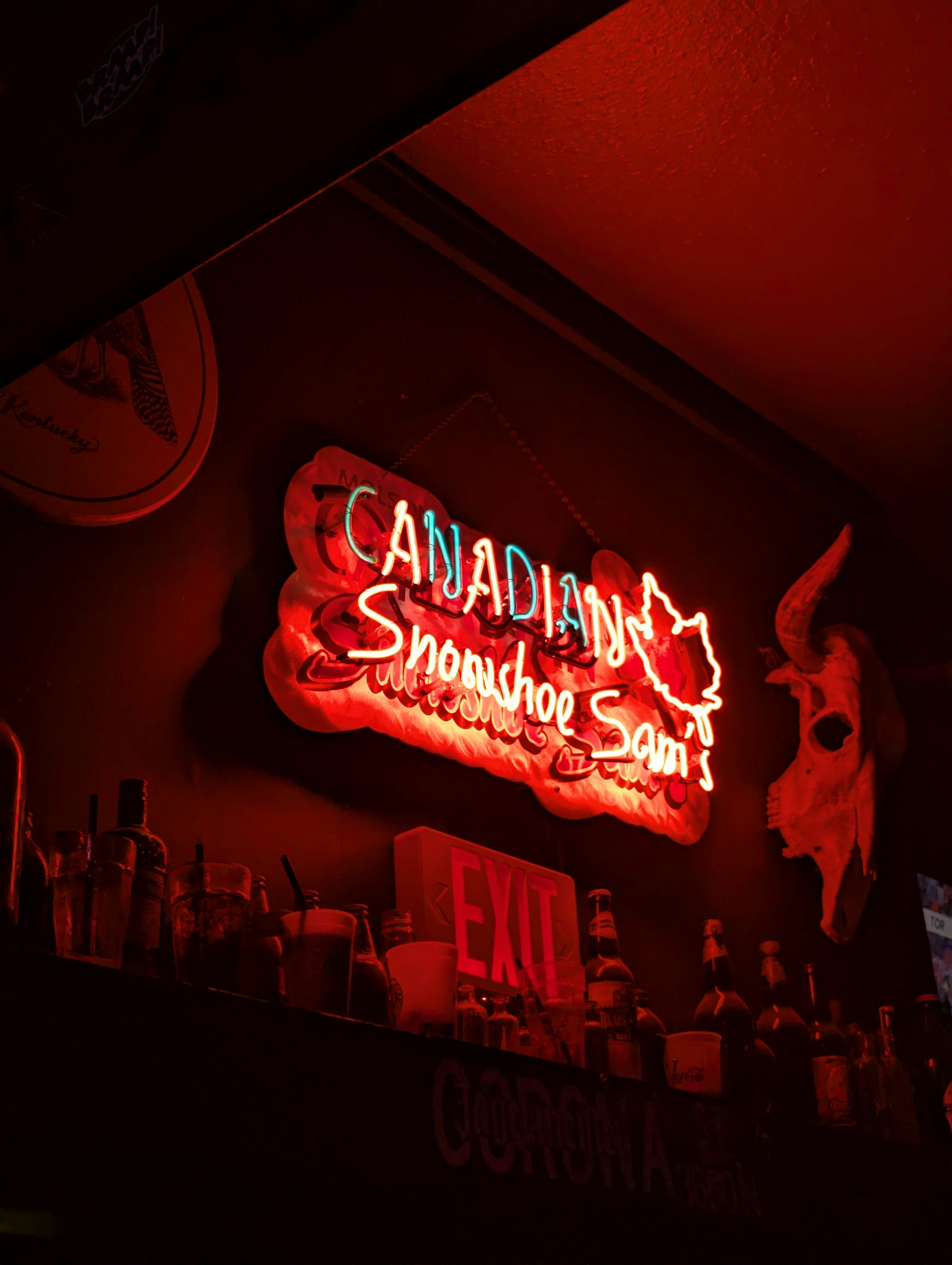 Neon Sign Nebula: Canadian Spirit in a Red-Hued Bar