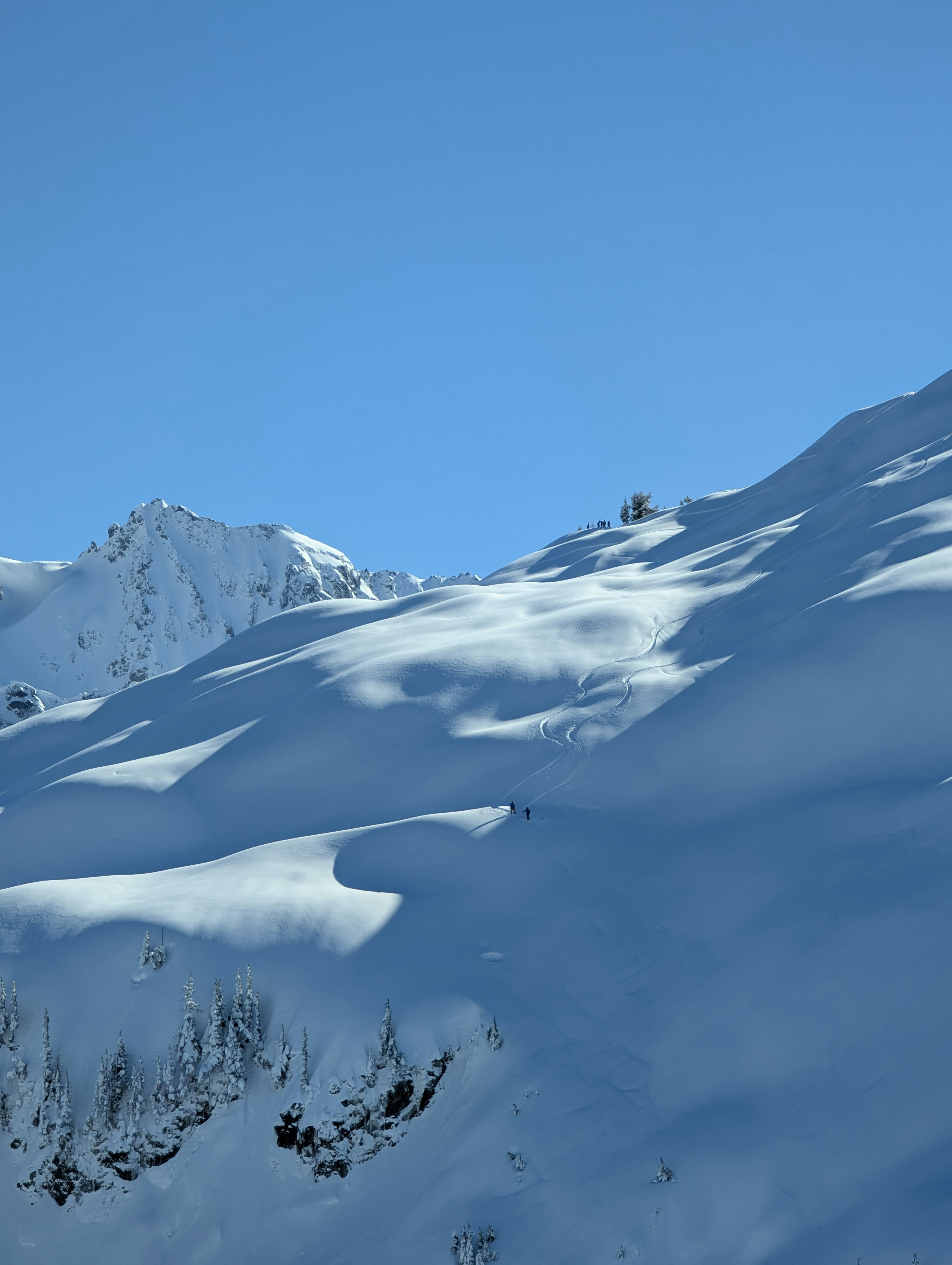 Blue Abyss: Crest and Snowfields under a Clear Alpine Sky
