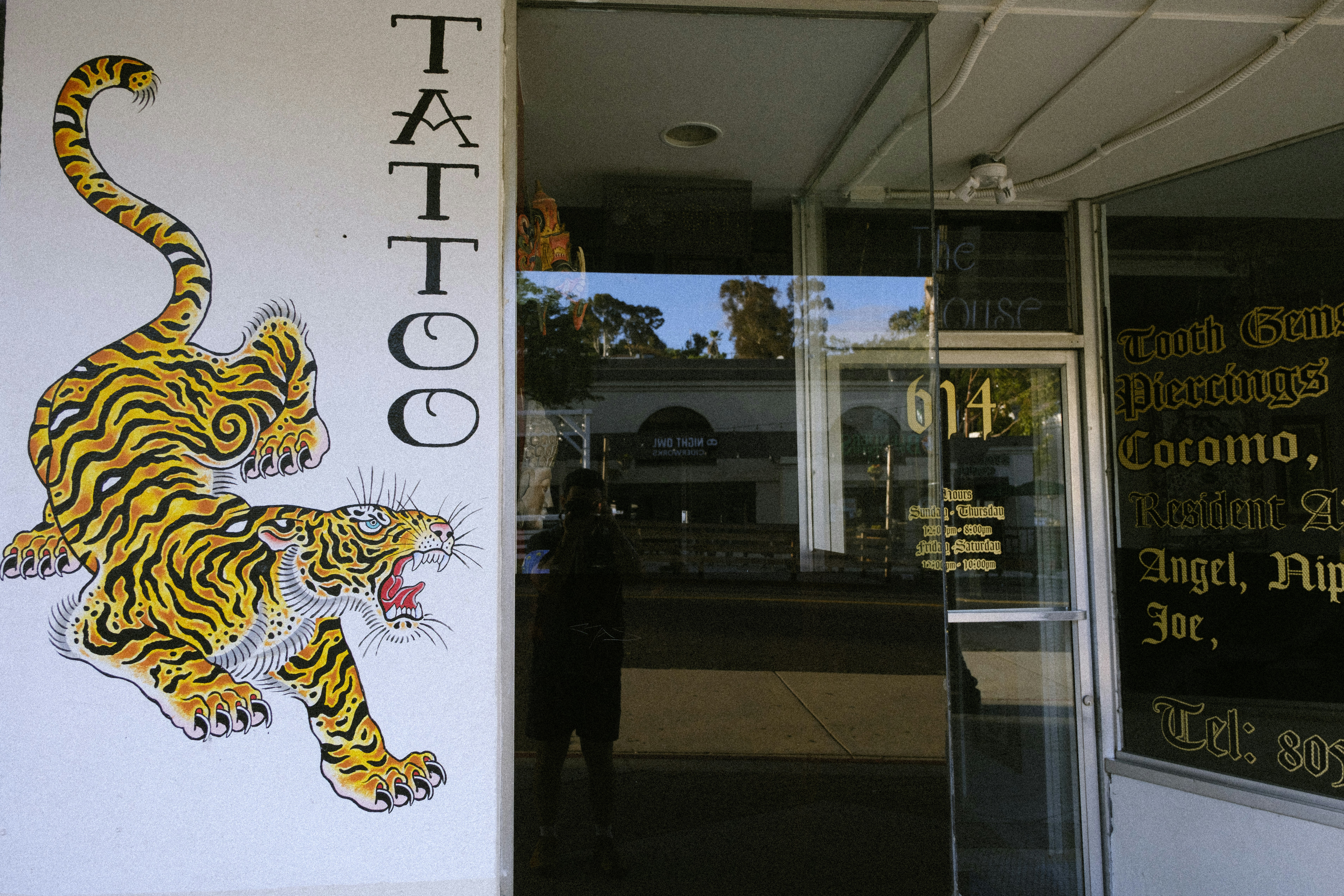 Tiger Mural Meets Glass Shopfront