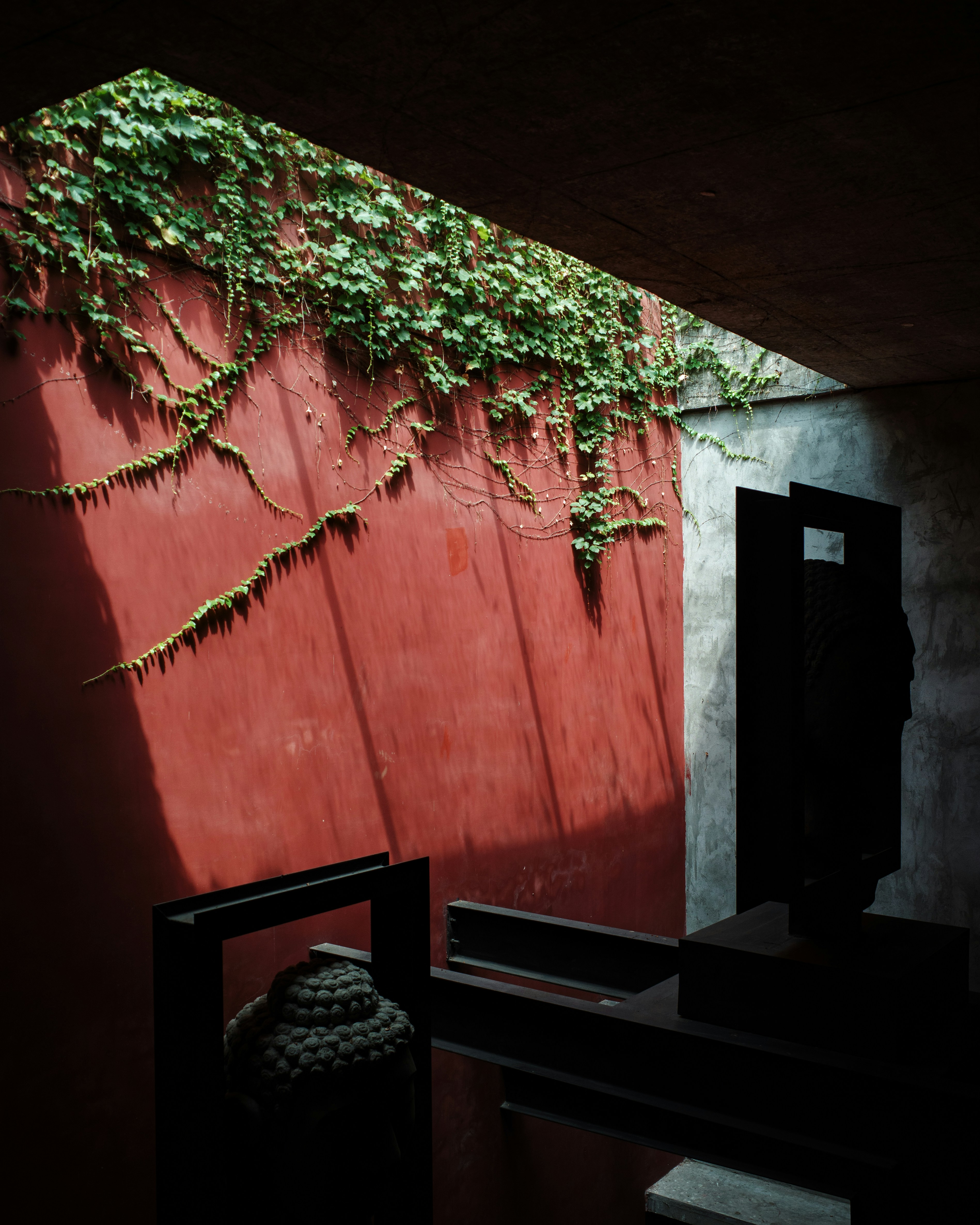 Vines at the Threshold: Red Wall and Shadowed Doorway