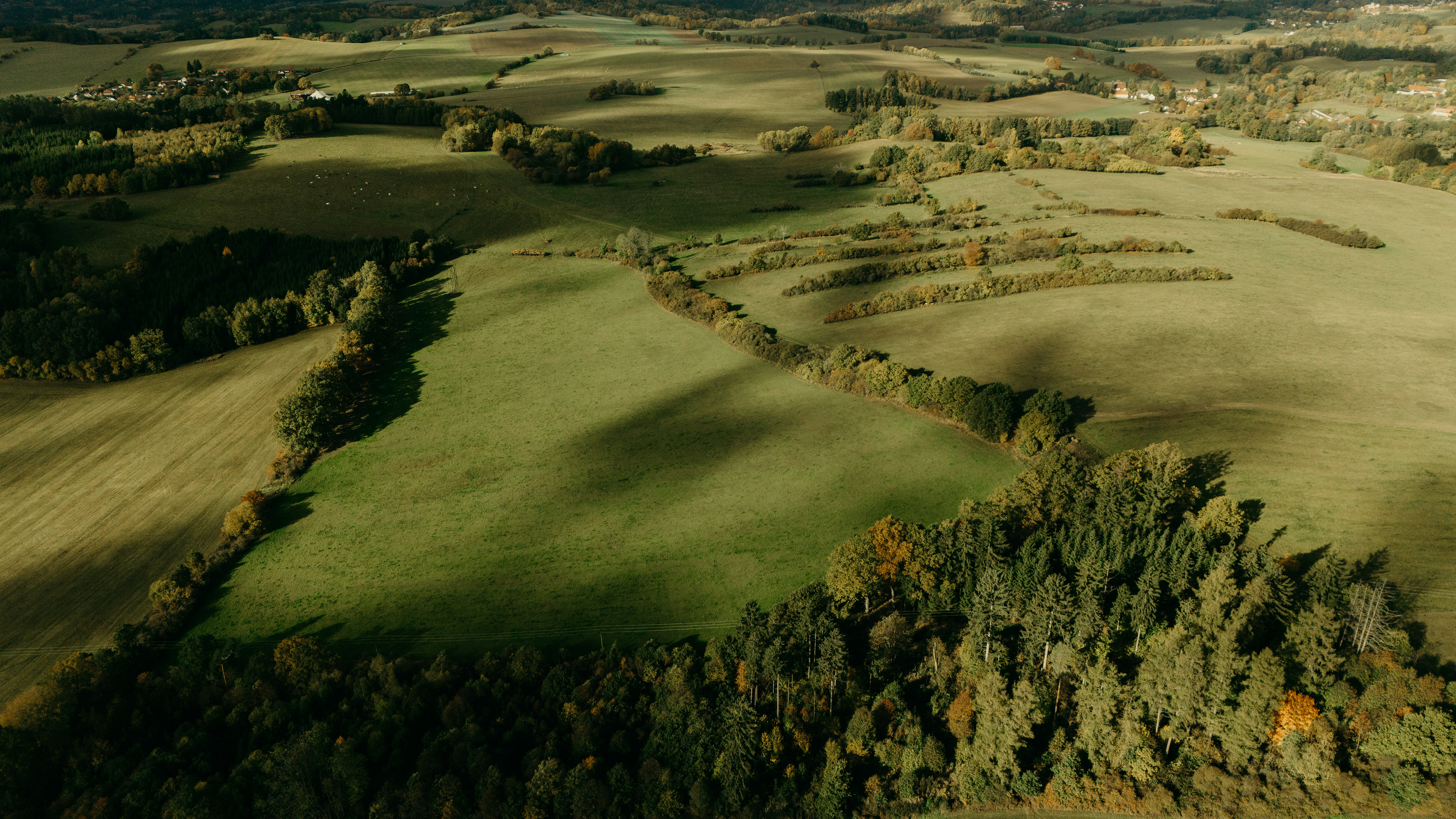 Rural Patchwork: Rolling Fields and Tree-Line Dletches