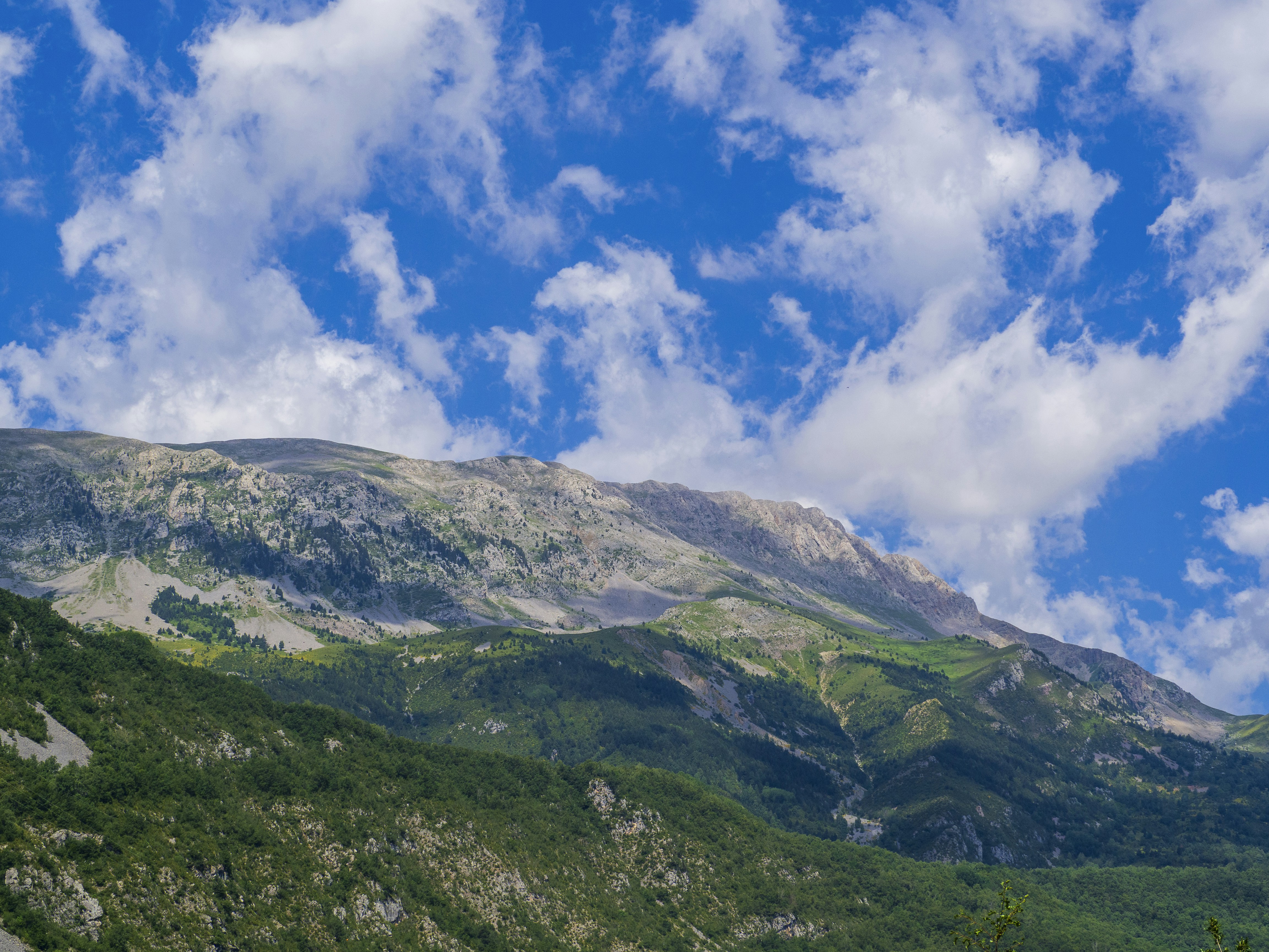 Mountain Tapestry Under a Cobalt Sky