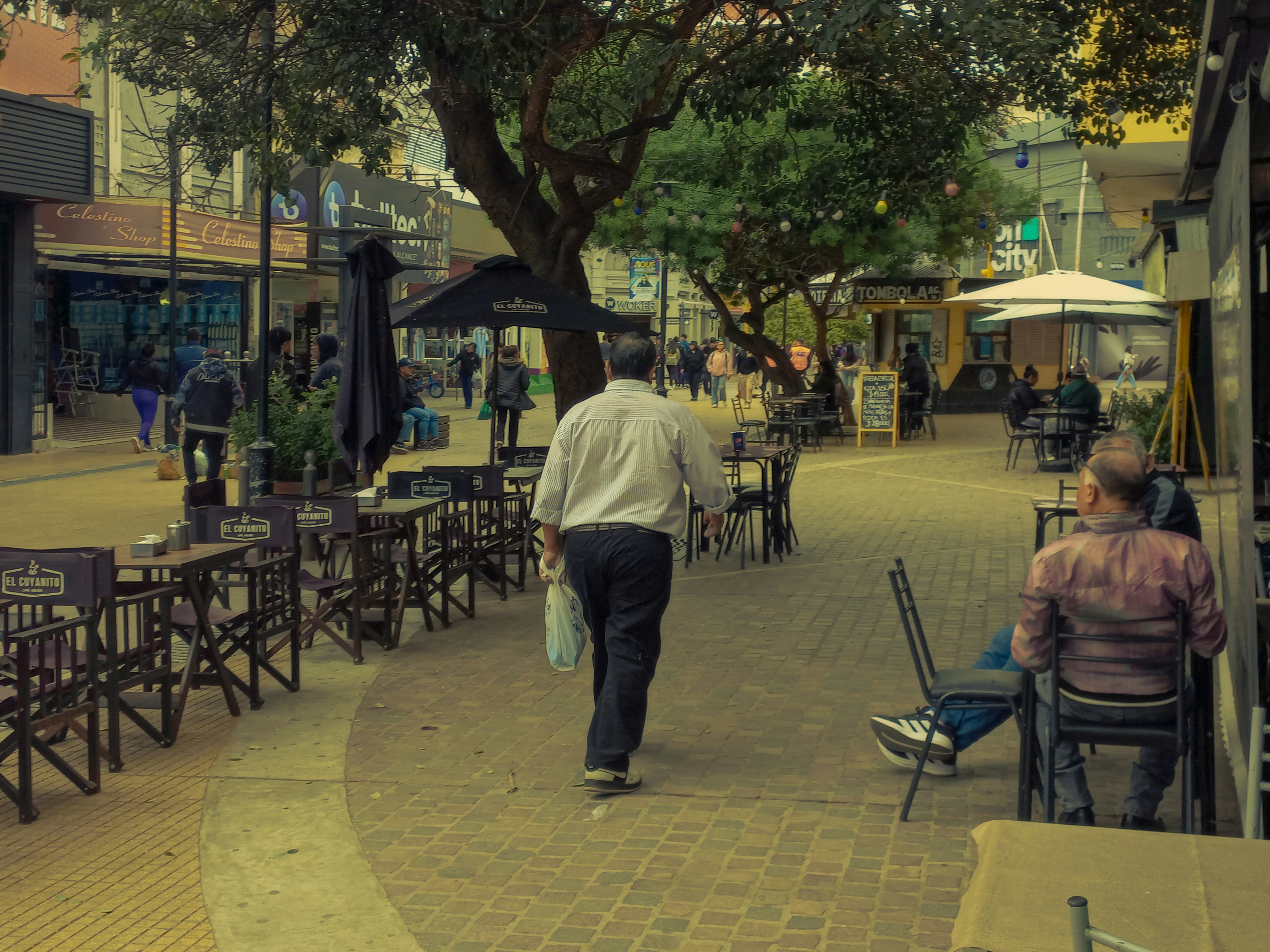Footpath Portrait: A Streetwise Stroll Beneath Canopy of Evening Light
