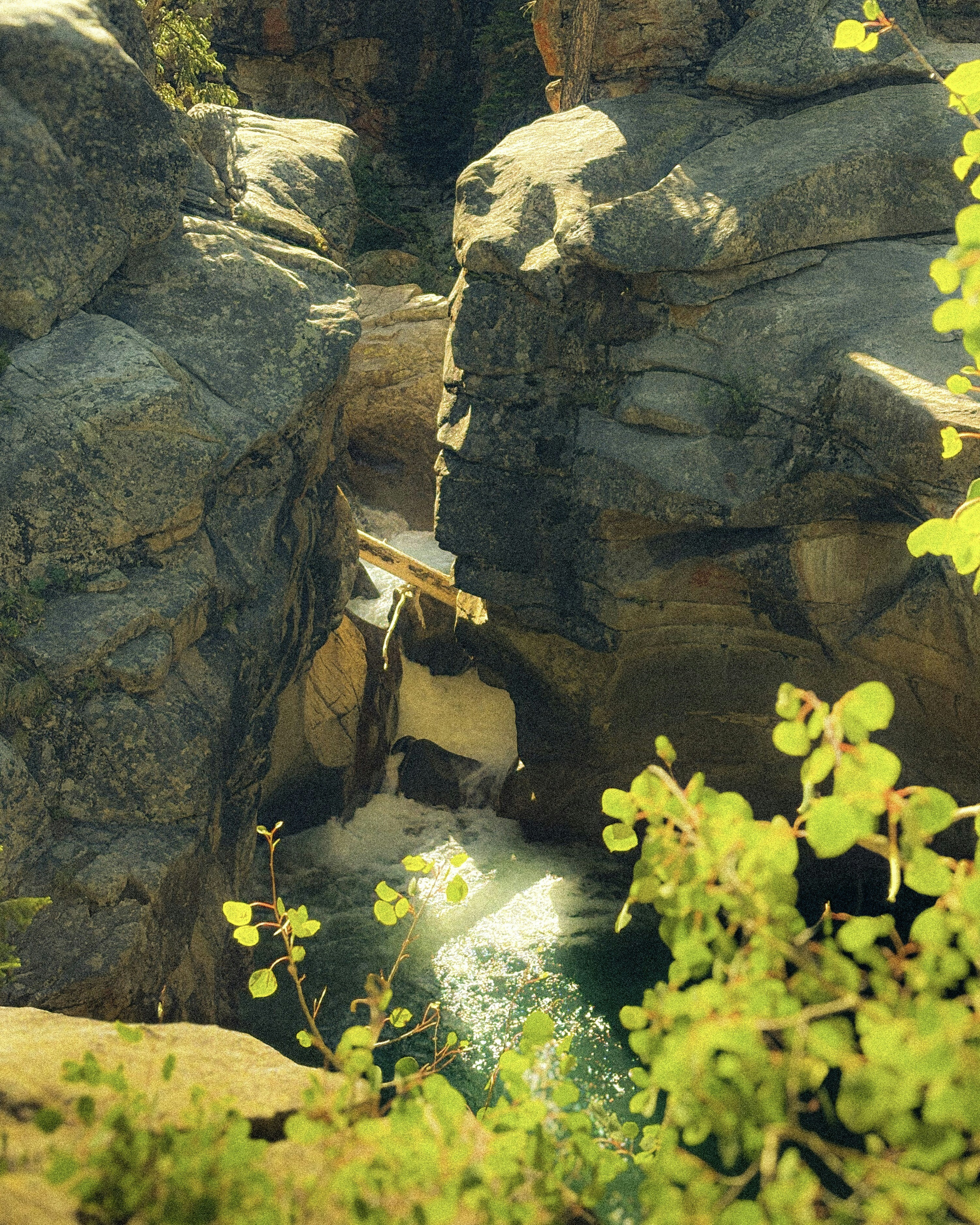 Sunlit Gorge: Light on Granite Channels