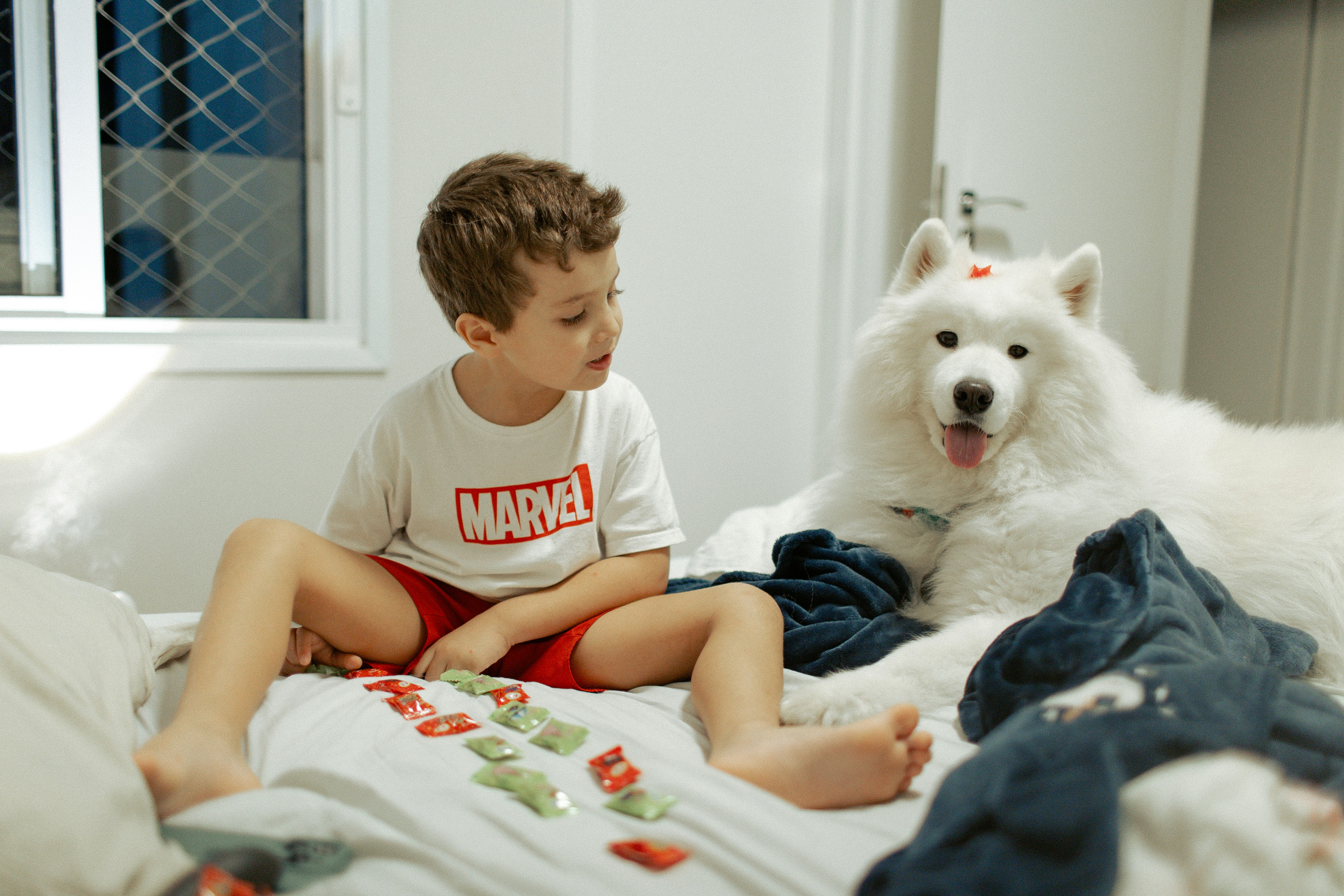 Boy in Marvel T-shirt and fluffy white dog share a quiet moment on a bed