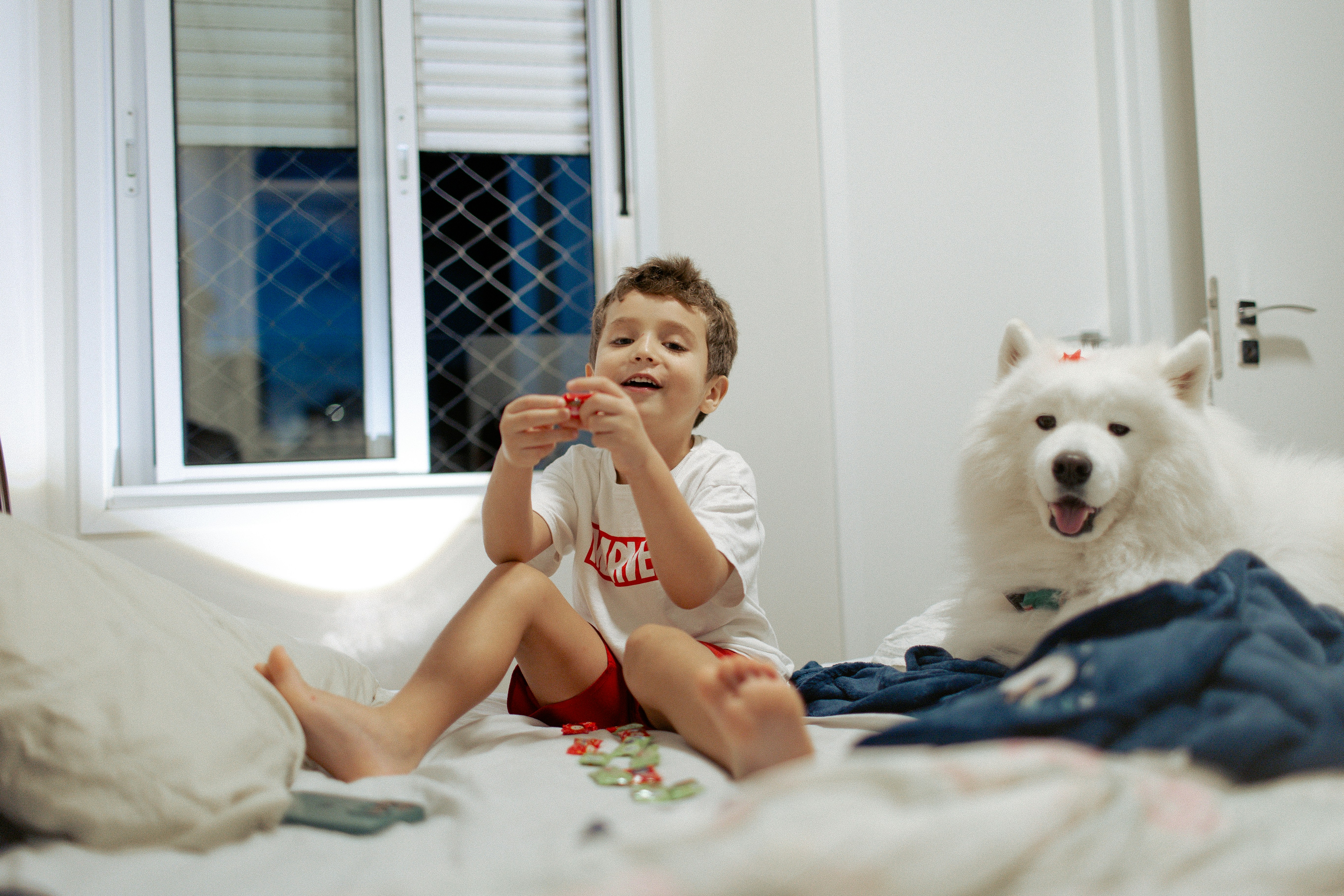 Playful afternoon: boy and fluffy companion in a sunlit bedroom