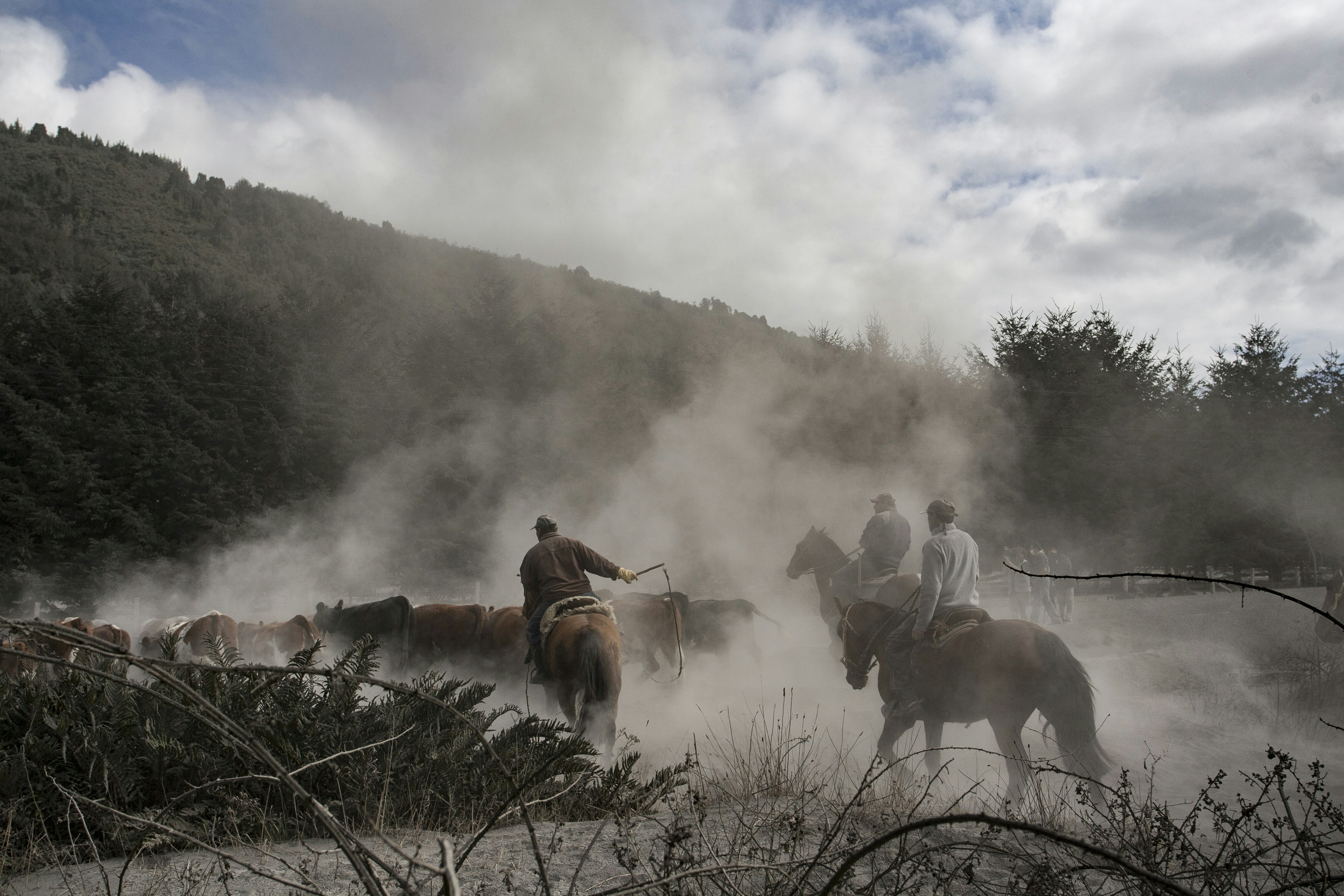 Dust and Dust: Riders Pushing Through a Misty Corral