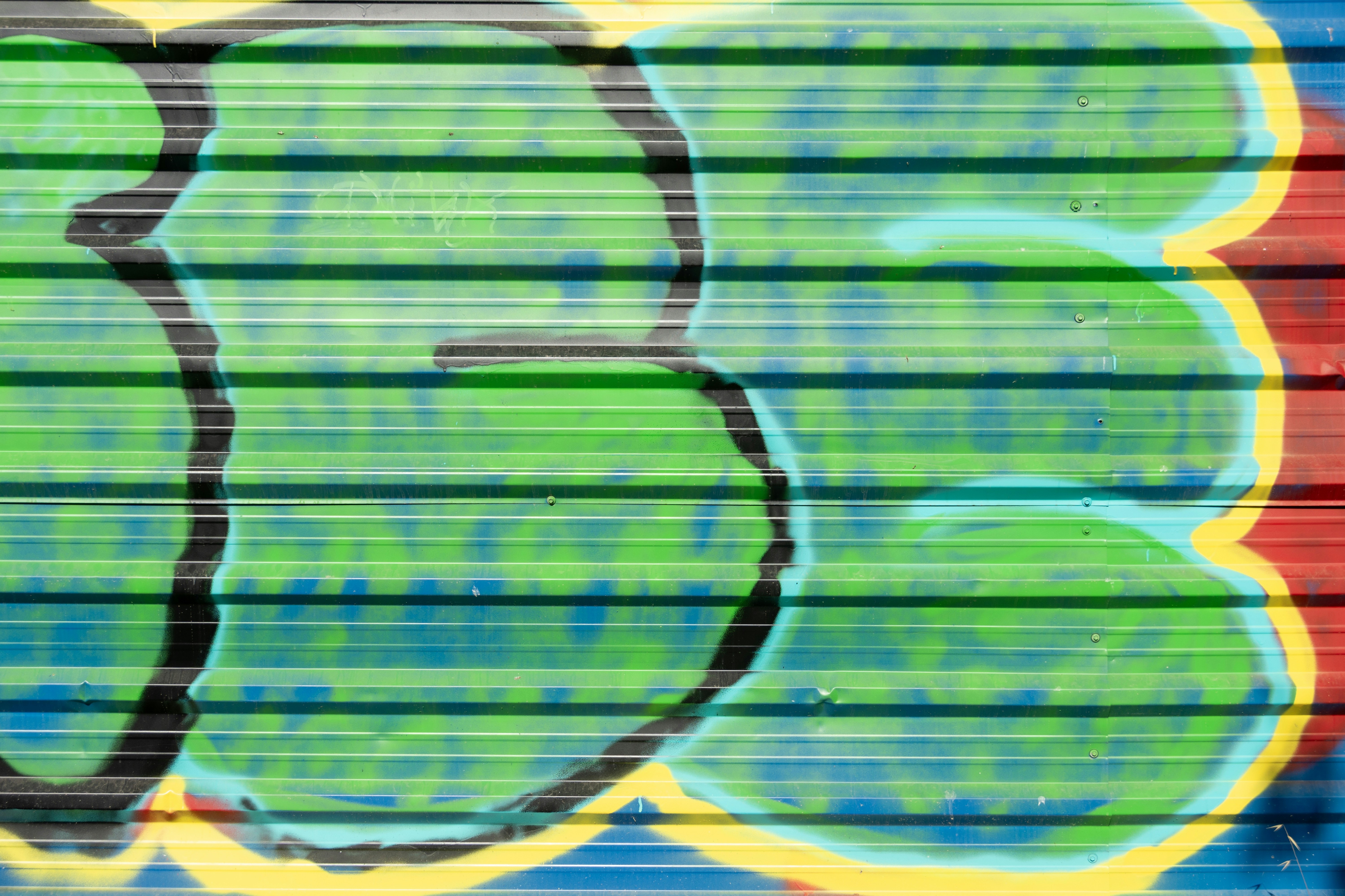 Vibrant Graffiti Bloom on a Metal Curtain