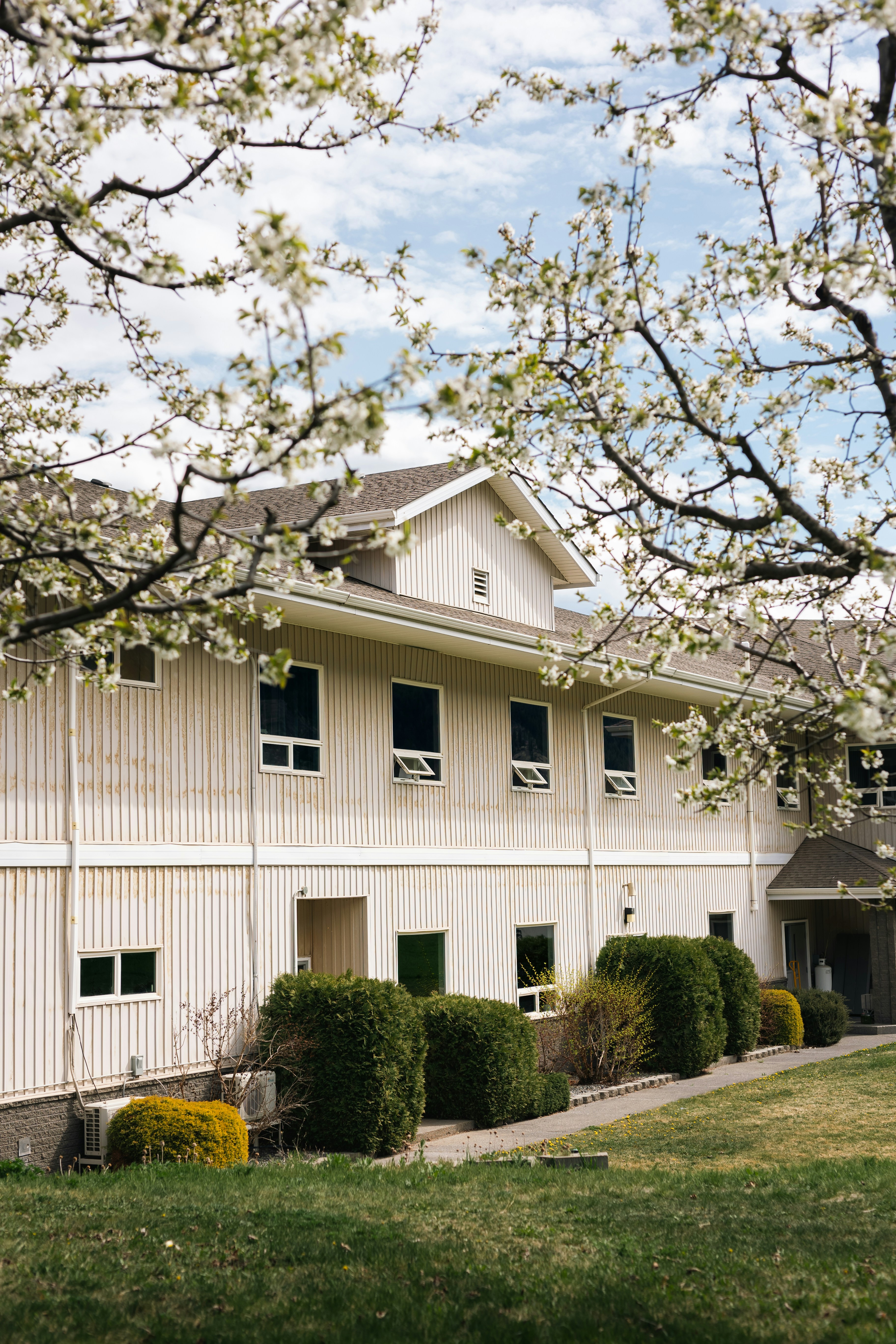 A light-colored dormitory-style building framed by blooming tree branches in spring; a well-kept lawn and trimmed shrubs line the walkway beside the structure.