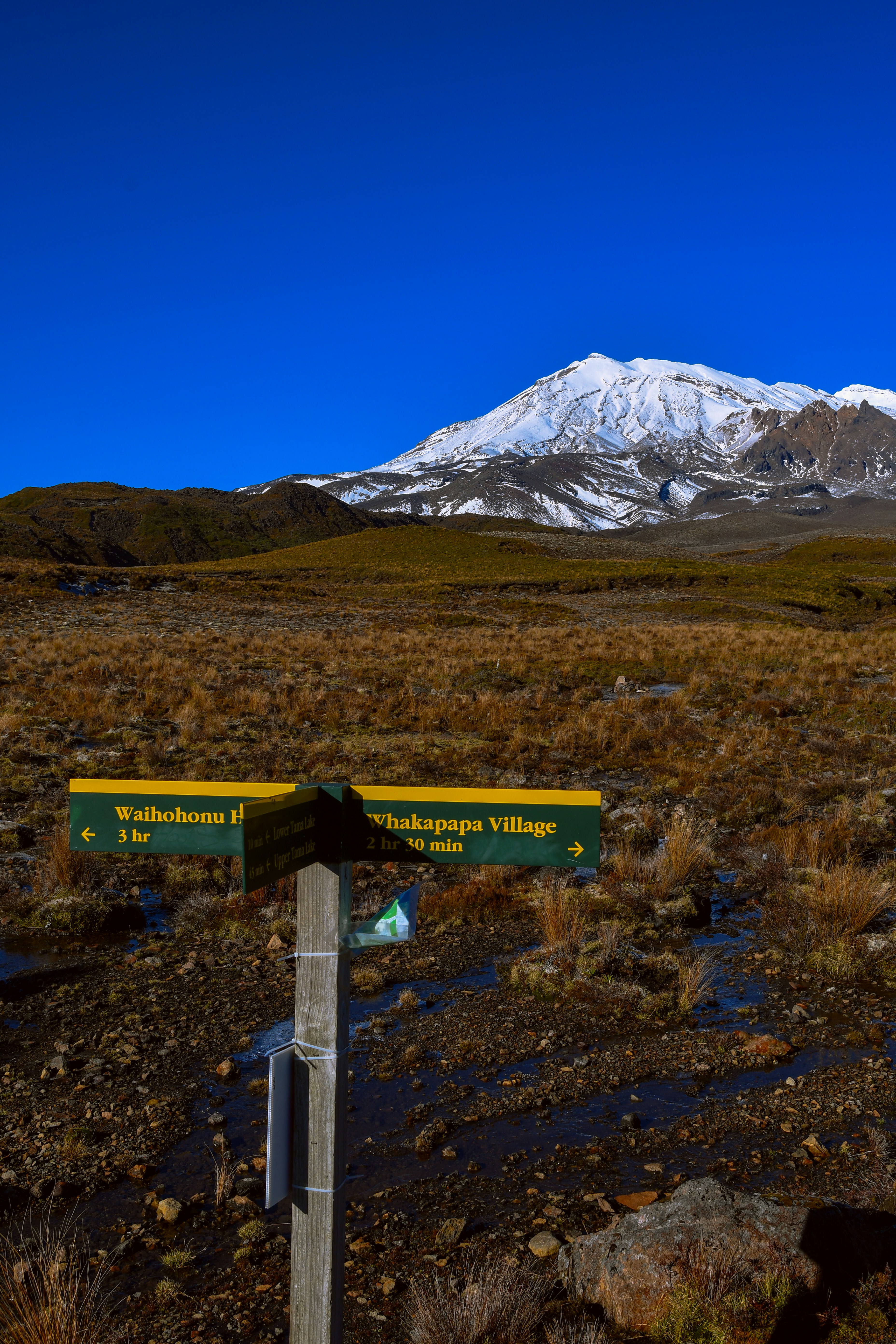 Snow Crown over Arid Plains: A Signpost to the Path