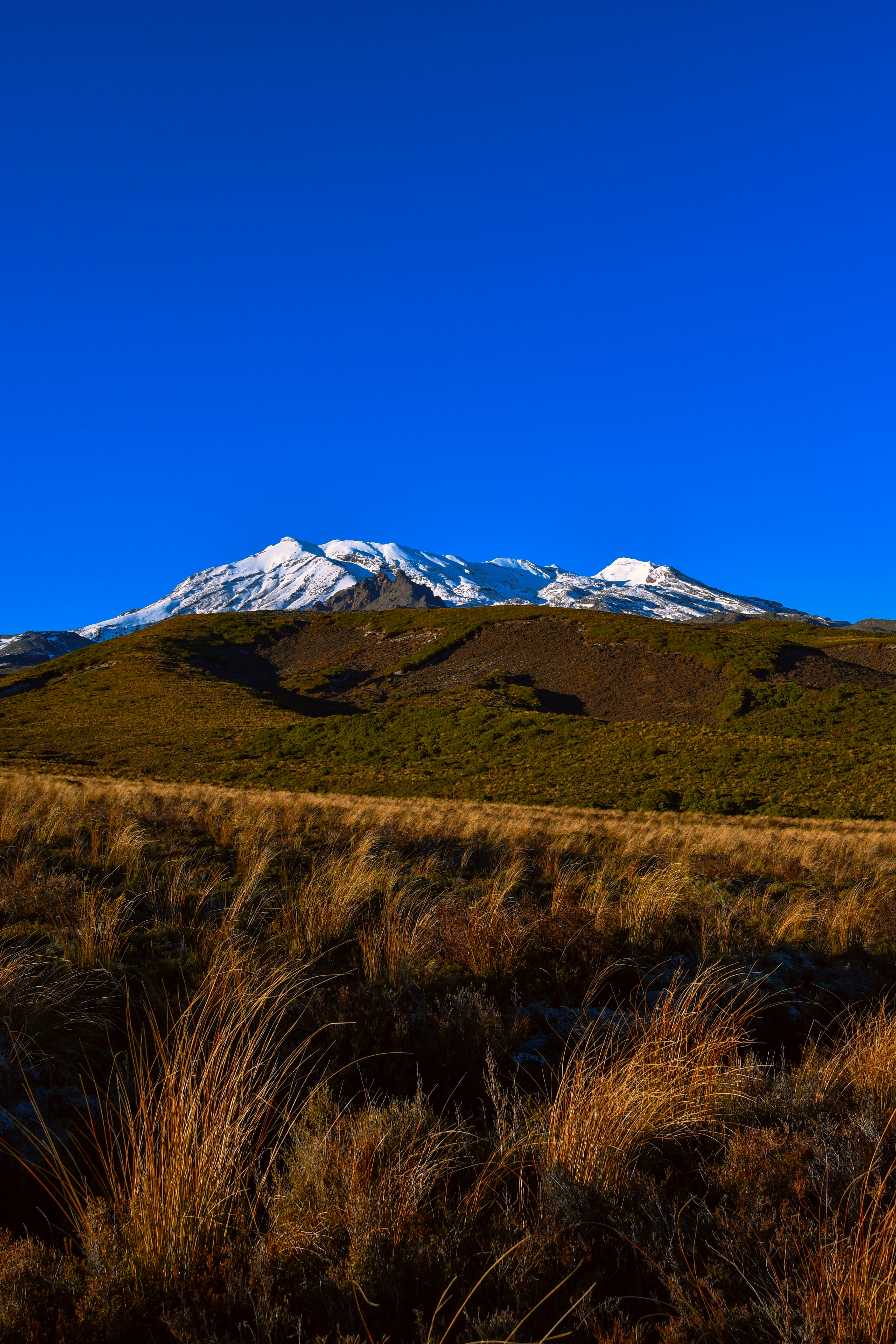Snow-capped Ridge Beneath a Cerulean Sky
