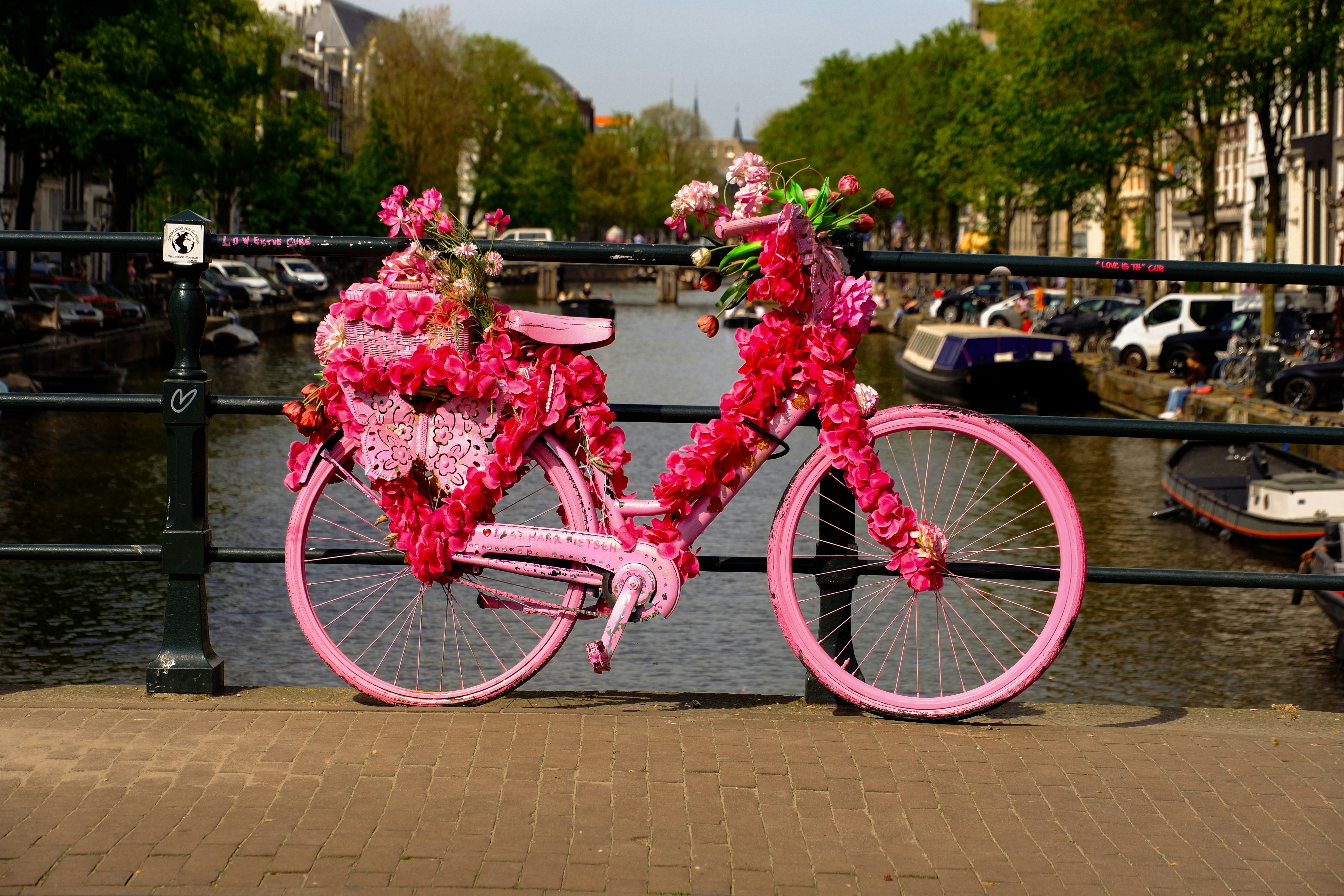 Blushing Iron: A Pink Floral Bicycle Anchored by the Canal
