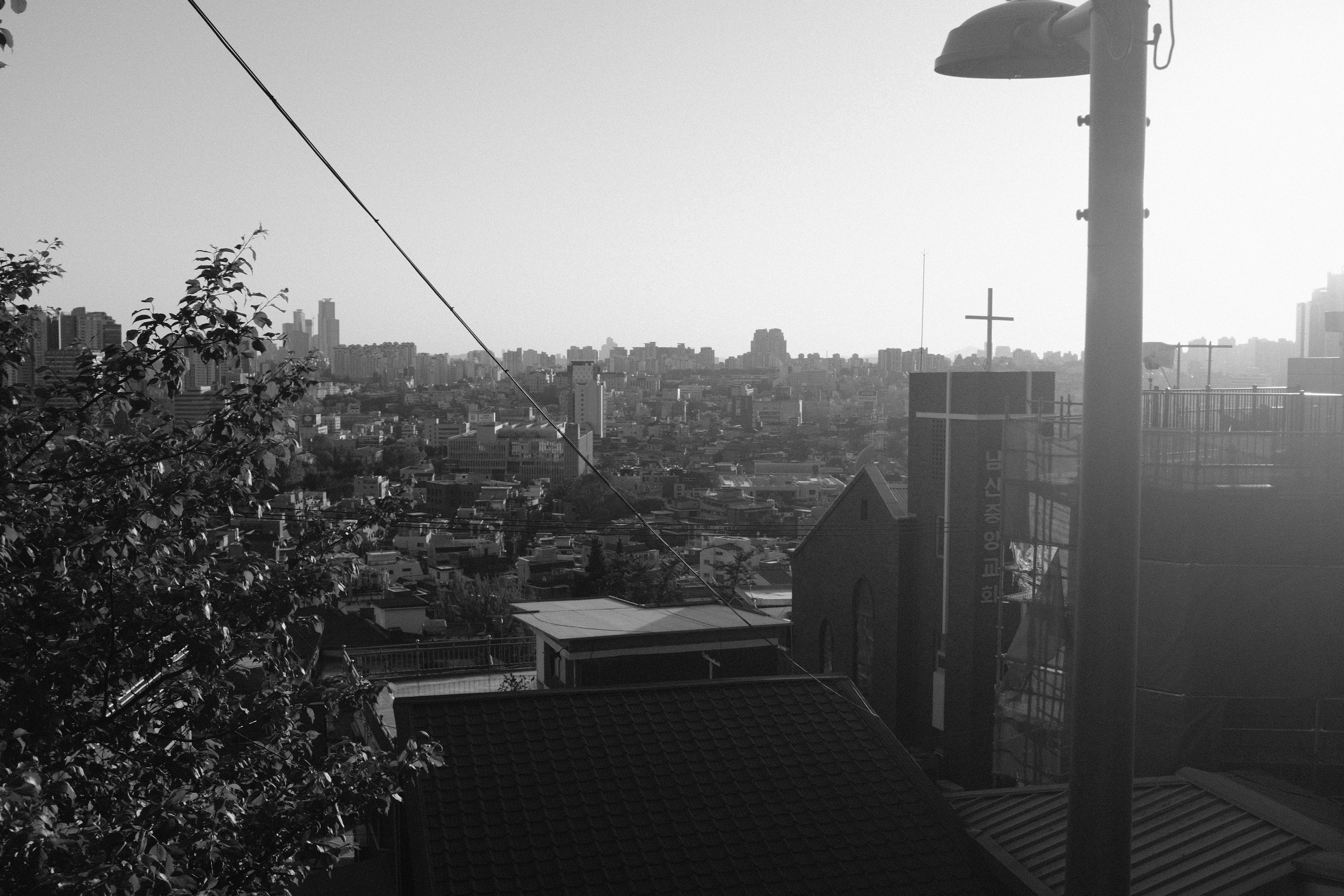 Urban Horizon: Quiet Rooftops Under a Distant City Glow