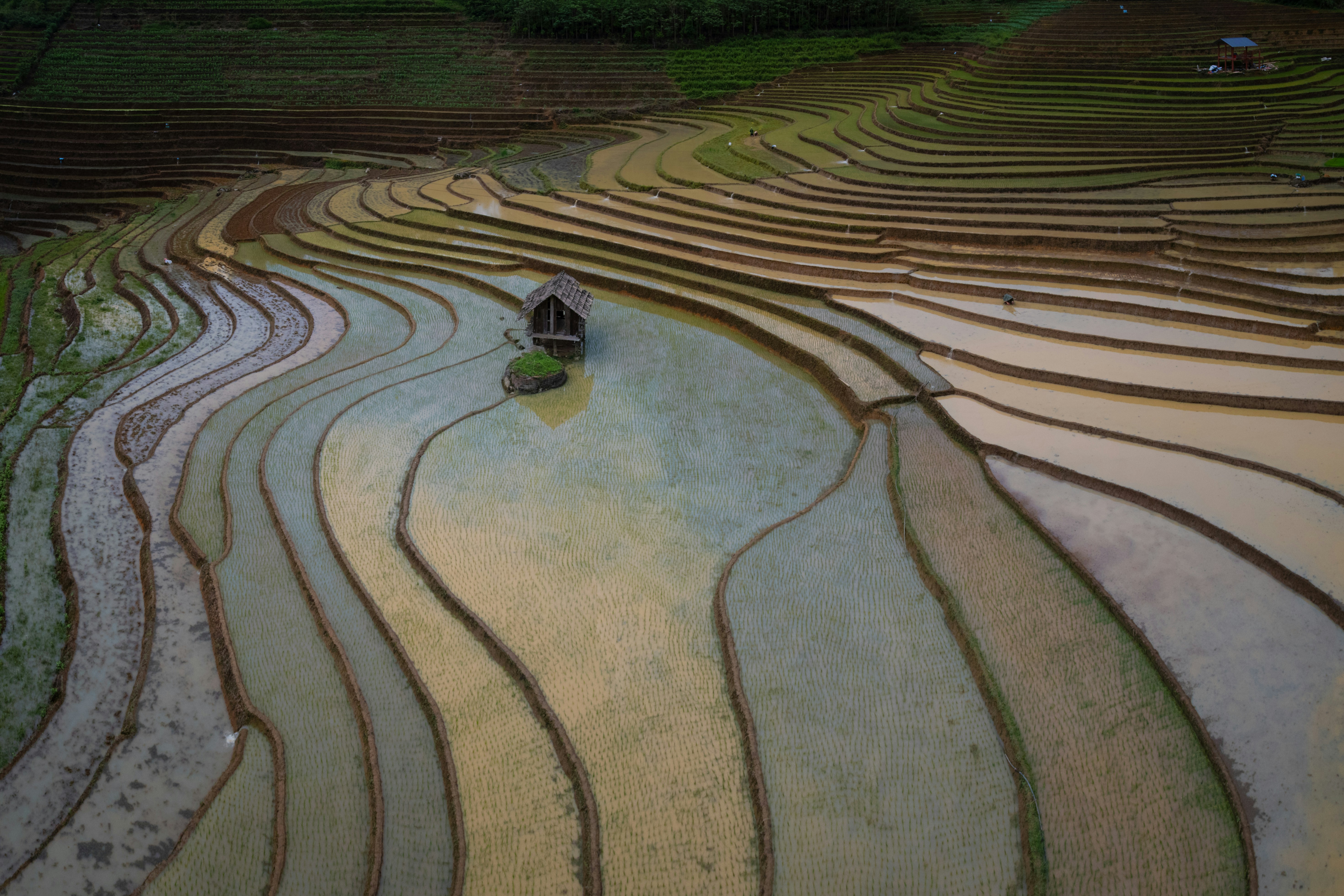 Terraced Echoes: A River of Clay and Light