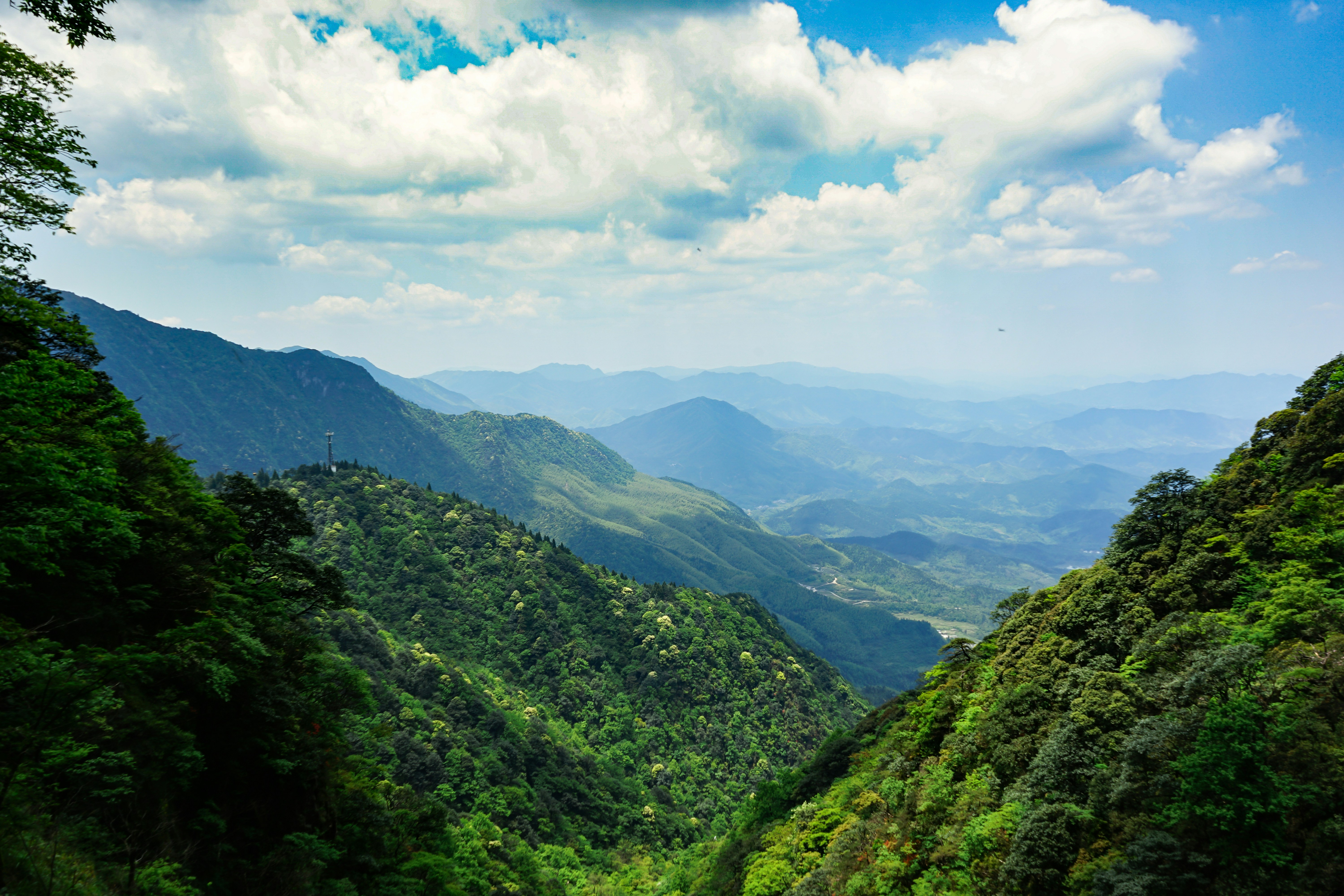 Mist-Laced Valleys: A Panoramic Rift Between Cloud-Kissed Peaks