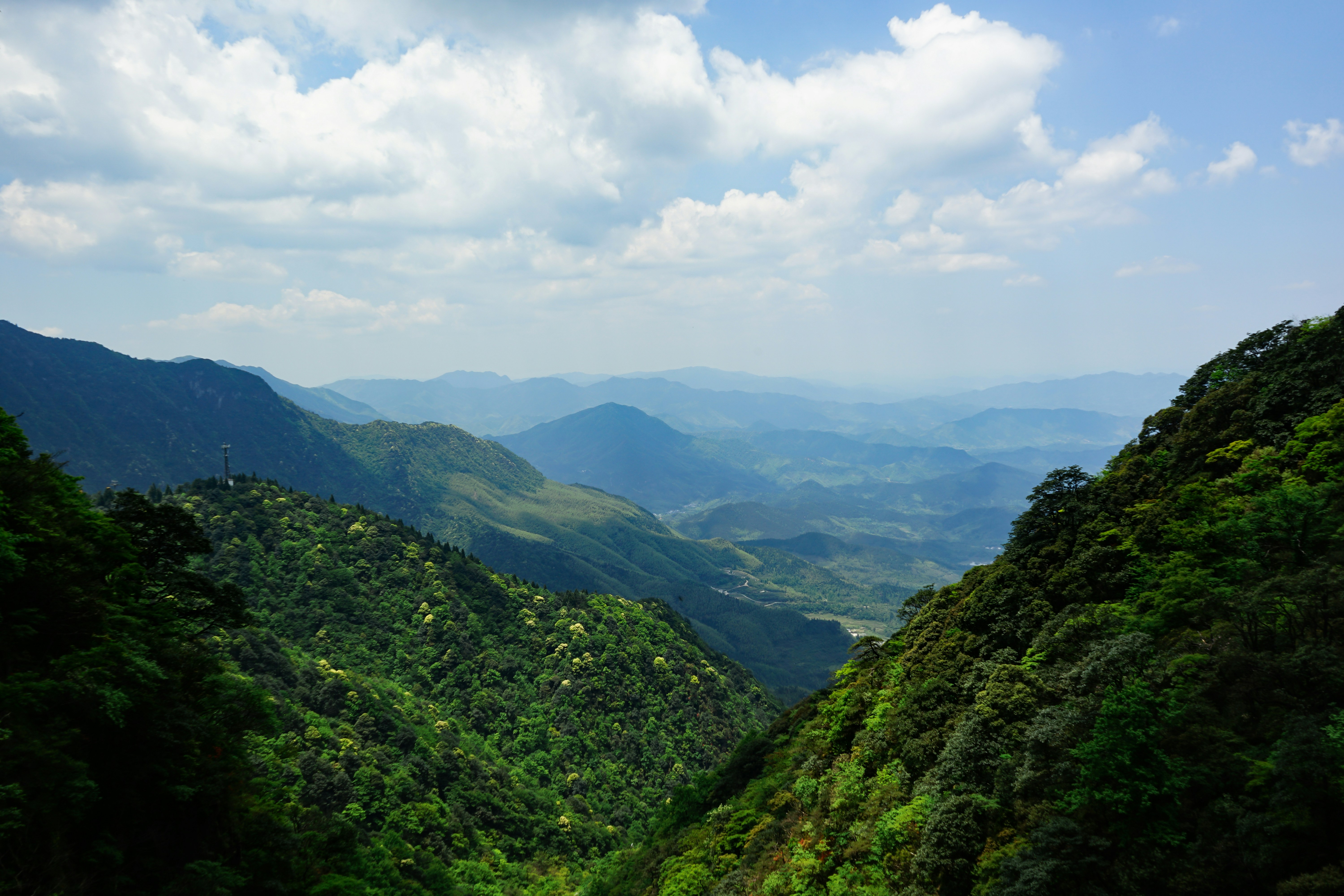 Valley Veil: A Quiet Corridor Between Cloud-Kissed Ridge Lines