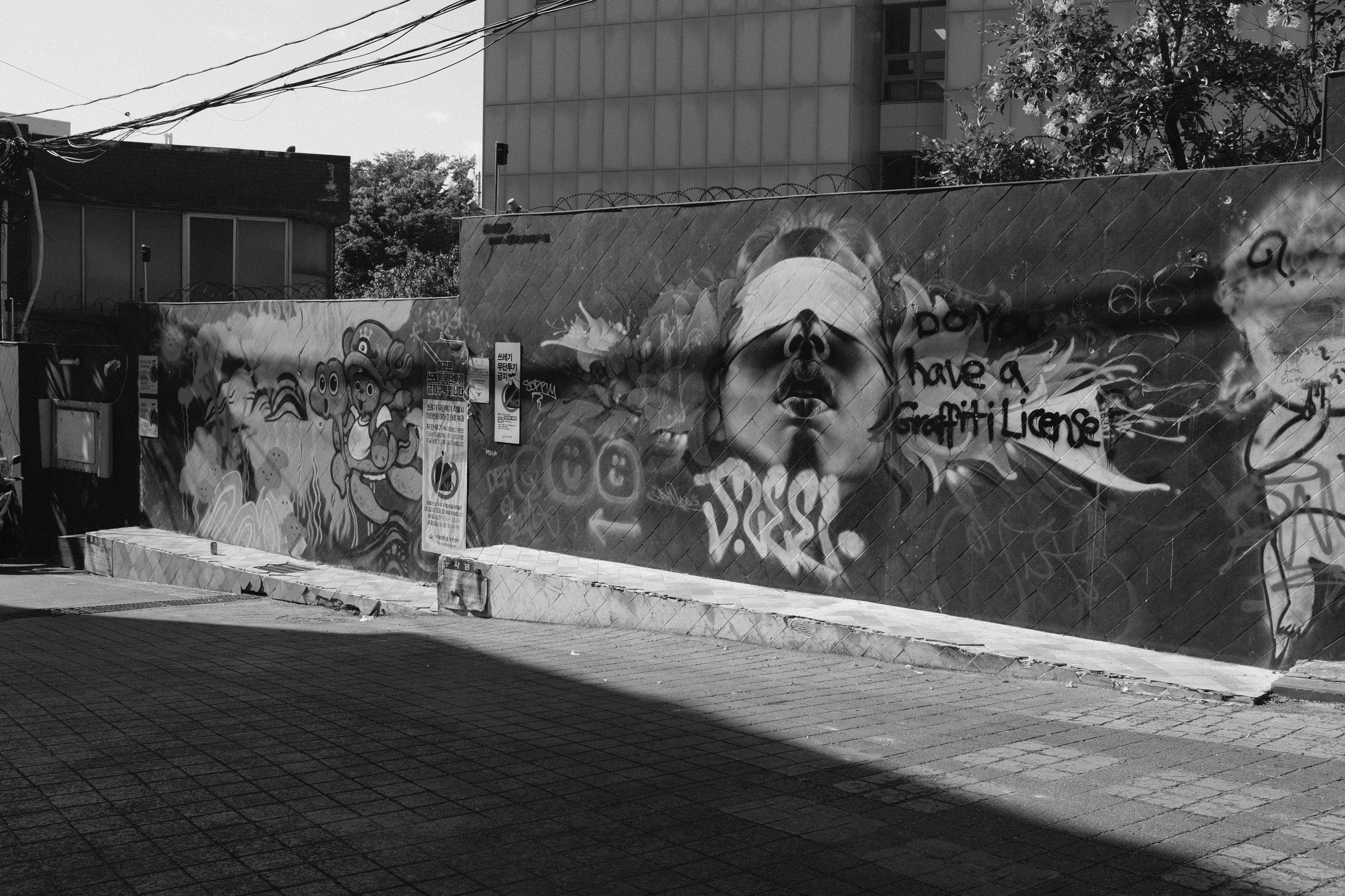 Graffiti Portrait Across a City Wall