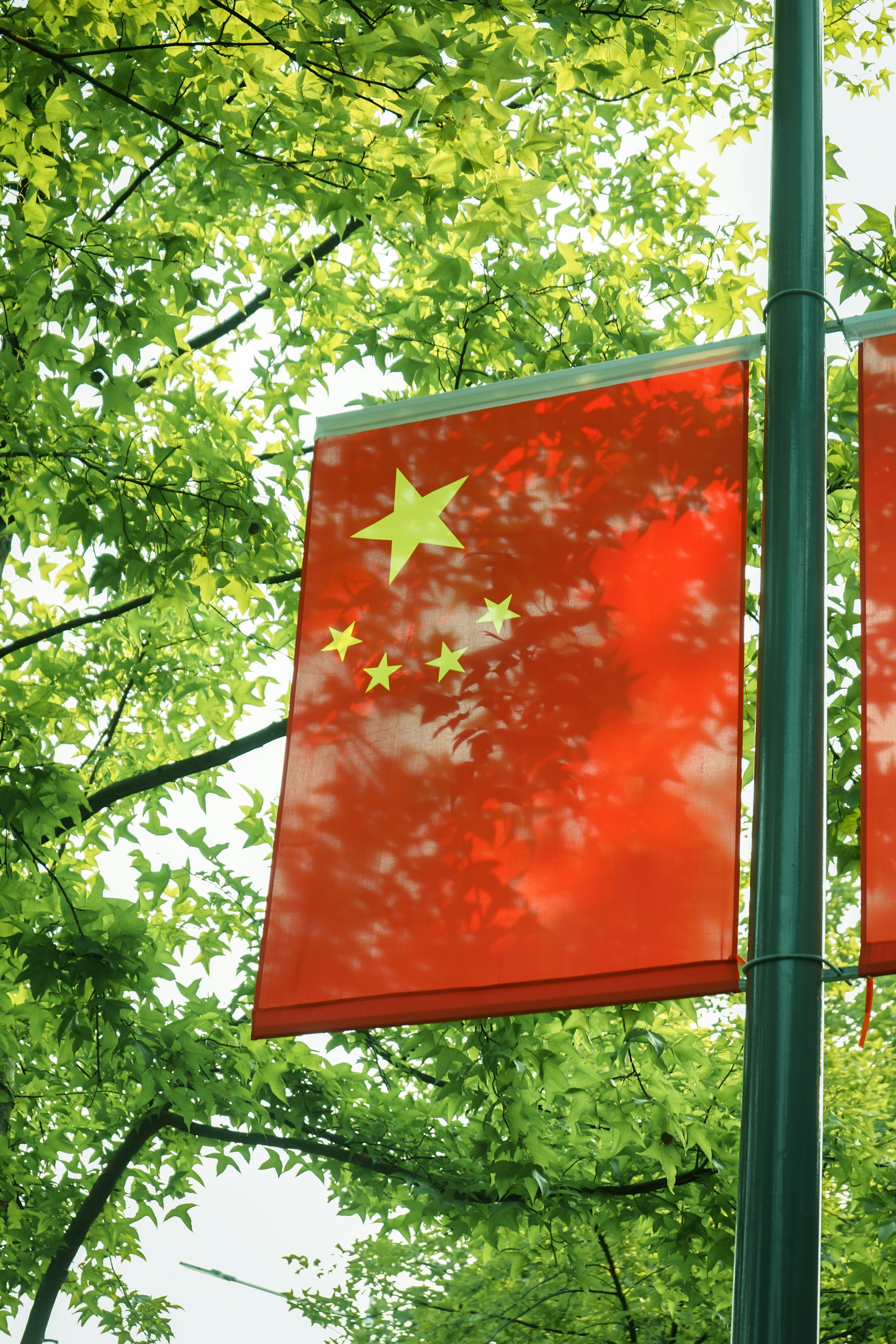 Red Flag in Green Shade: A Prominent Emblem Amid Urban Foliage