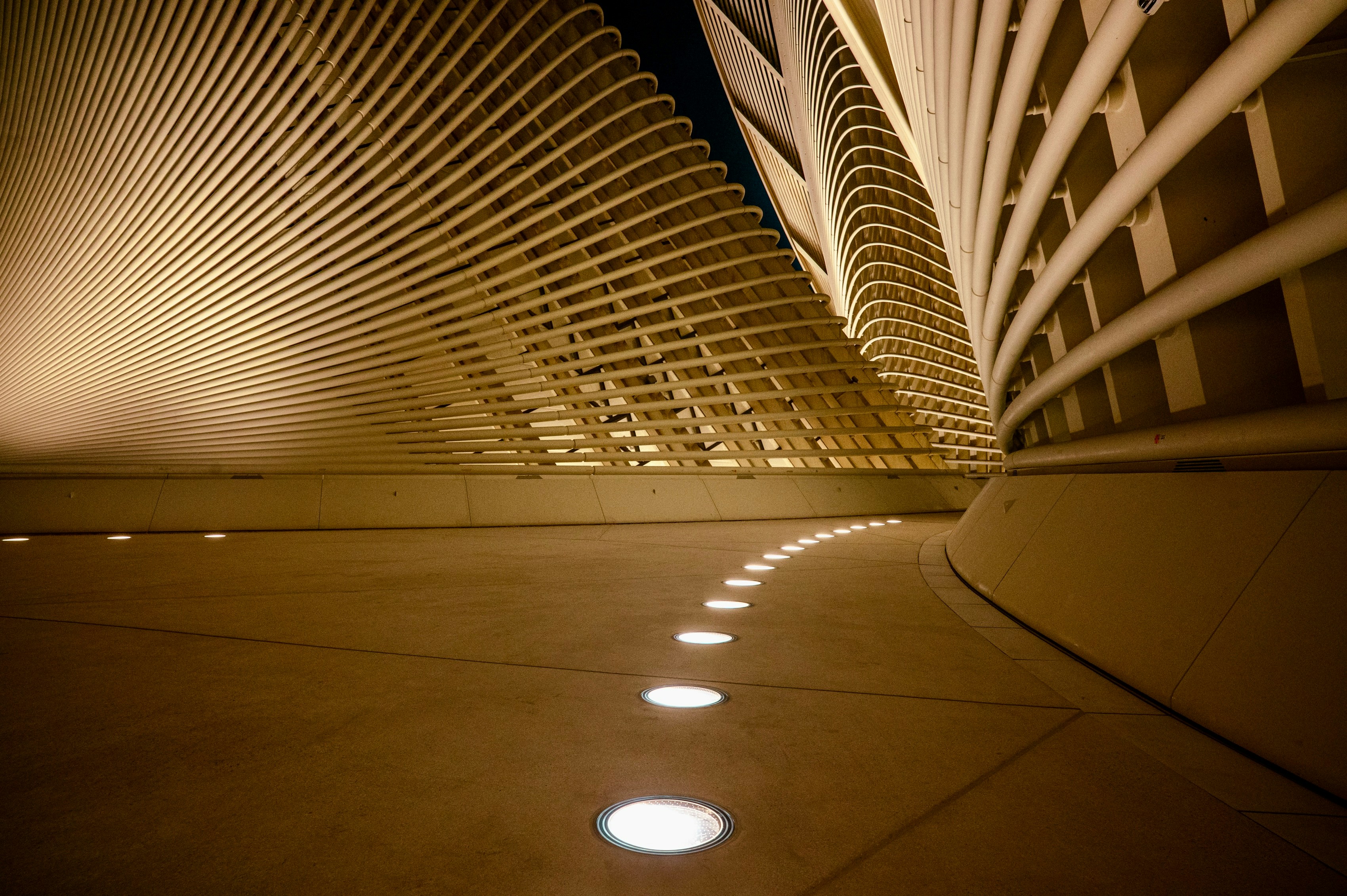 Curved Venous Rays: A Night Walk Through a Luminous Bridge Arcade