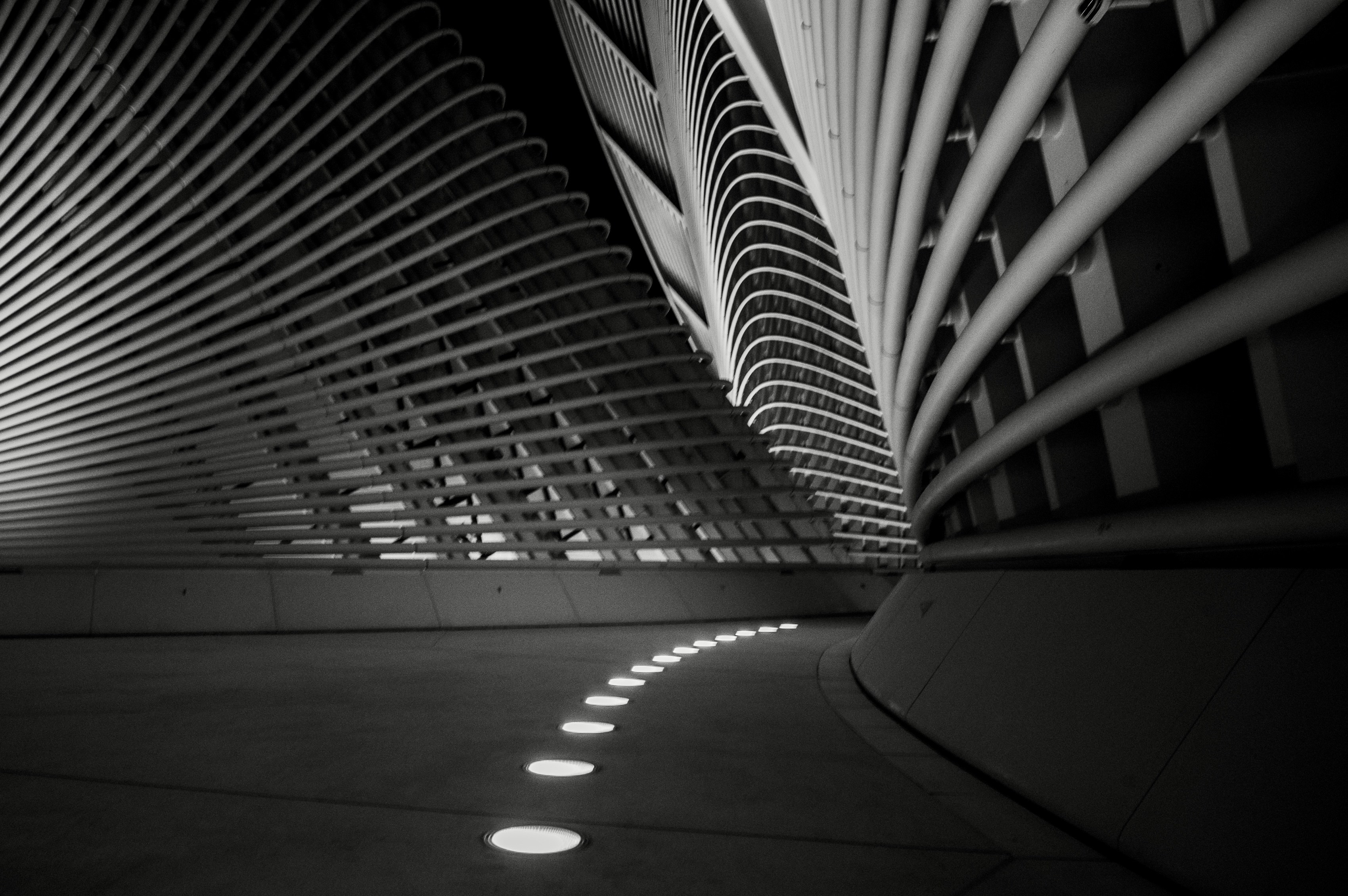 Curved Rails of Light: A Monochrome Walk Through Architectural Rhythm