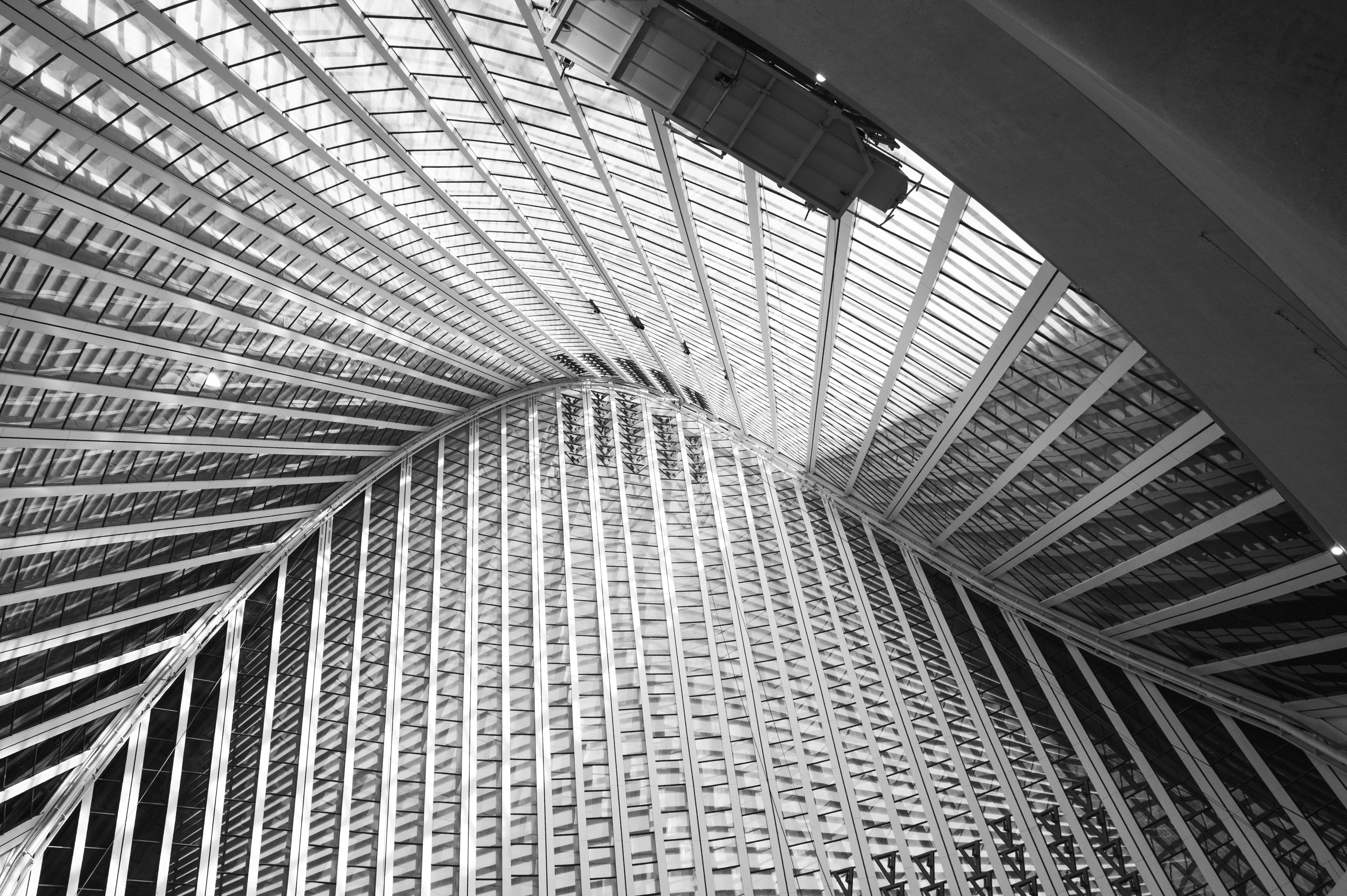 Structural Rhythm: Black-and-White Convergence of Arch and Steel