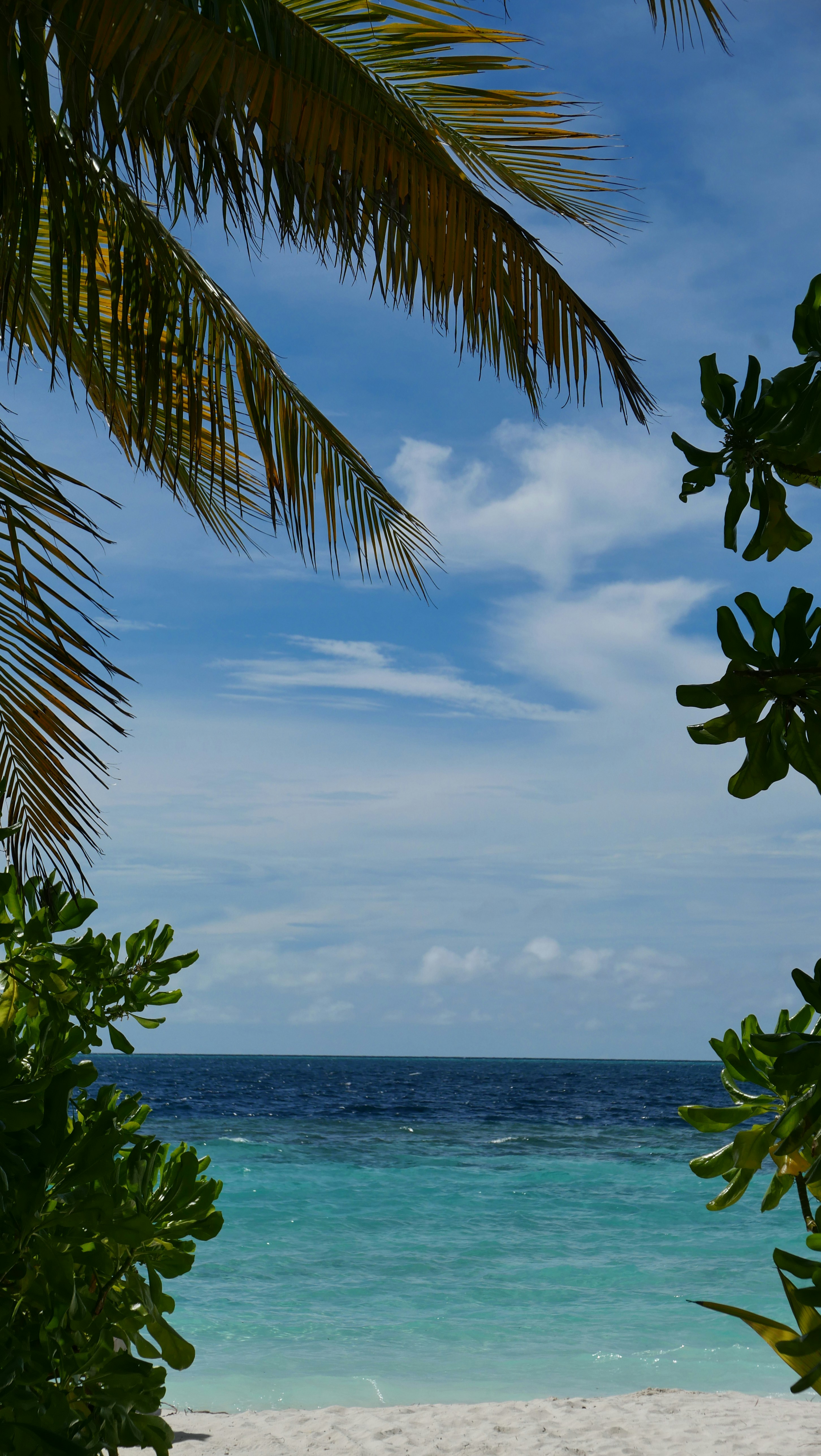 Sunlit Archipelago Vista: Teal Waters Meet Blue Sky