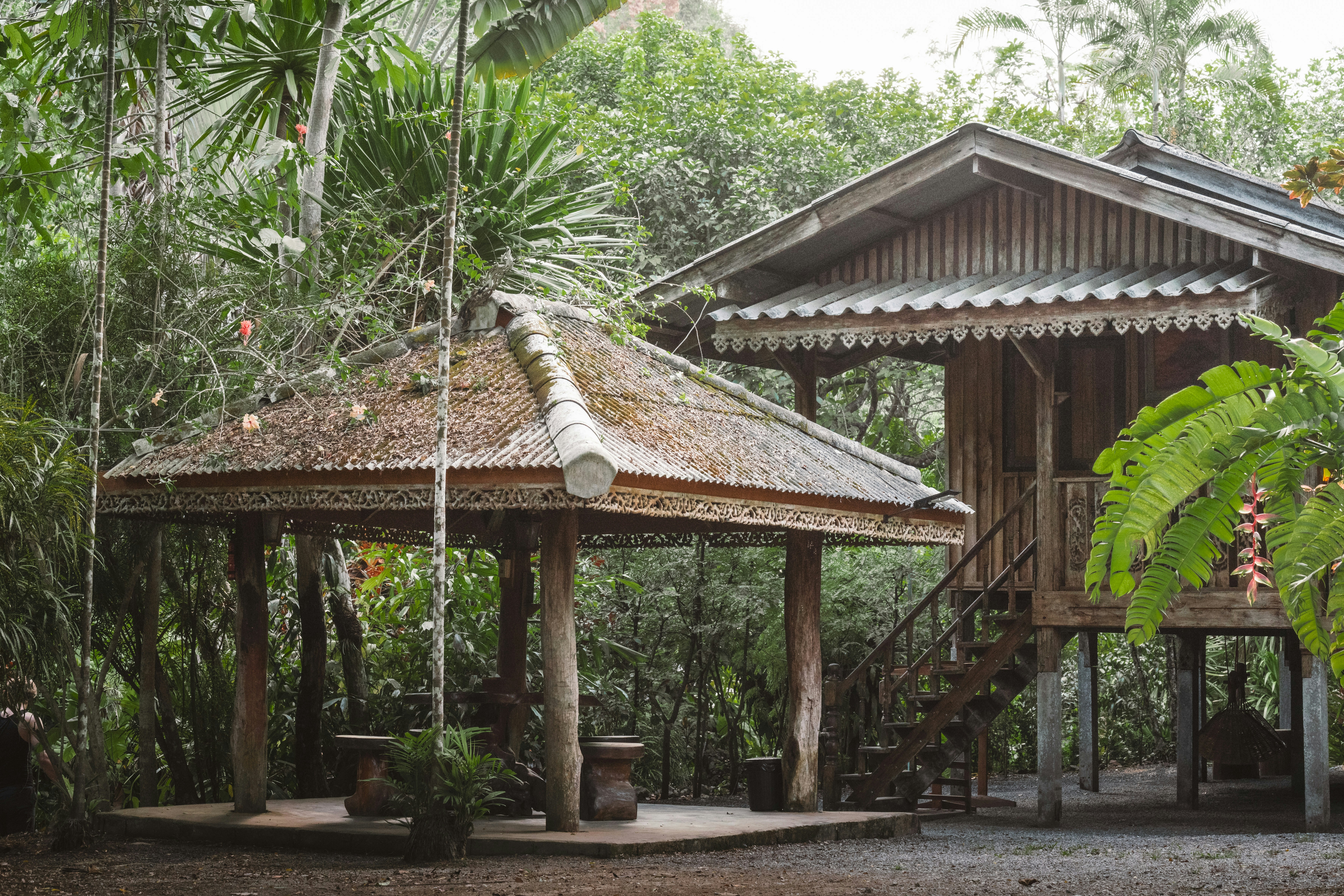 Rural Timber Pavilion with Elevated Hut Amid Tropical Foliage
