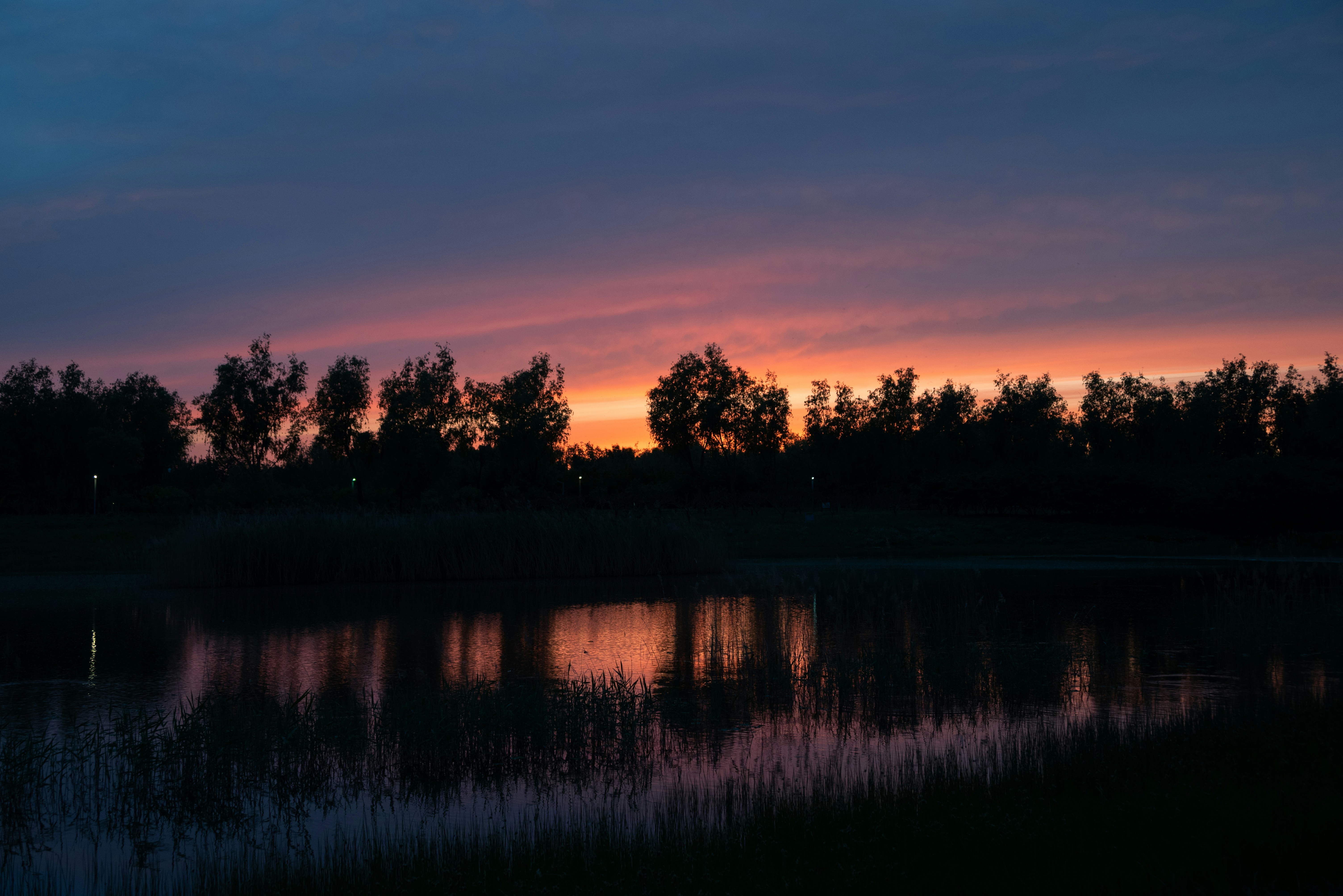 Dusk on the Quiet Lake: Silhouettes and Ember Sky