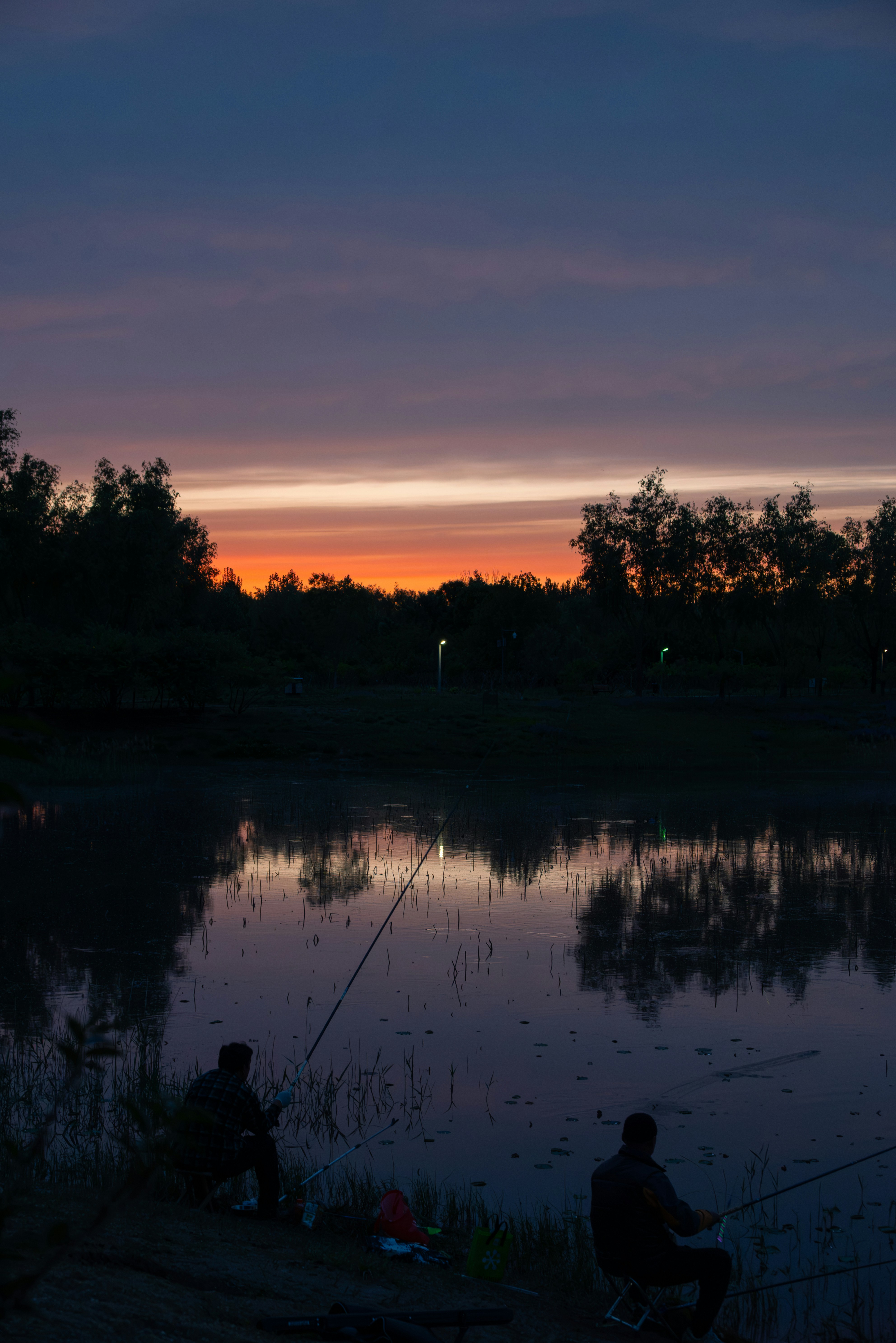 Silhouettes by the Quiet Pond at Sunset