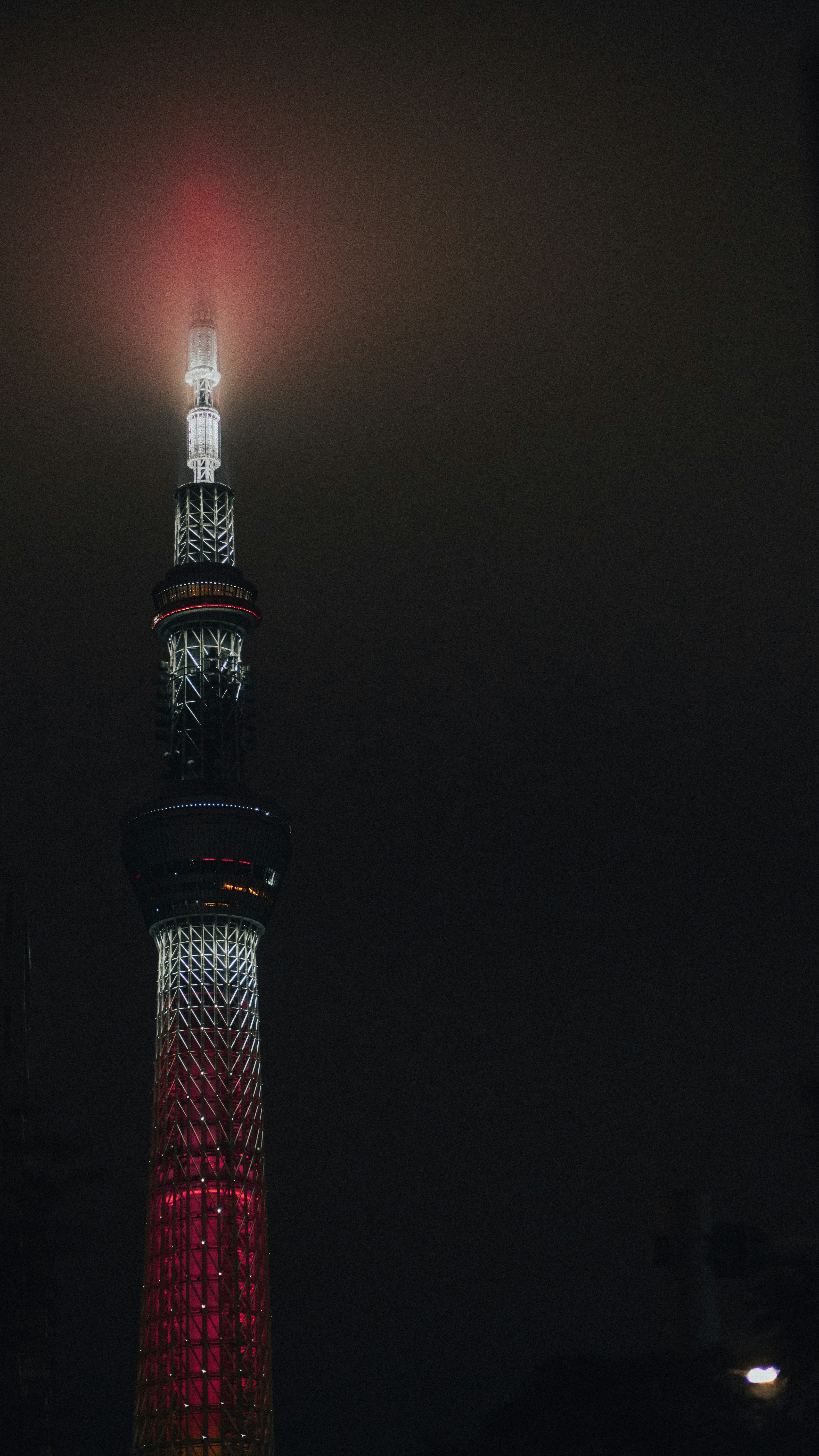 Tokyo Tower Piercing the Night: Striking Lattice in Neon Ember