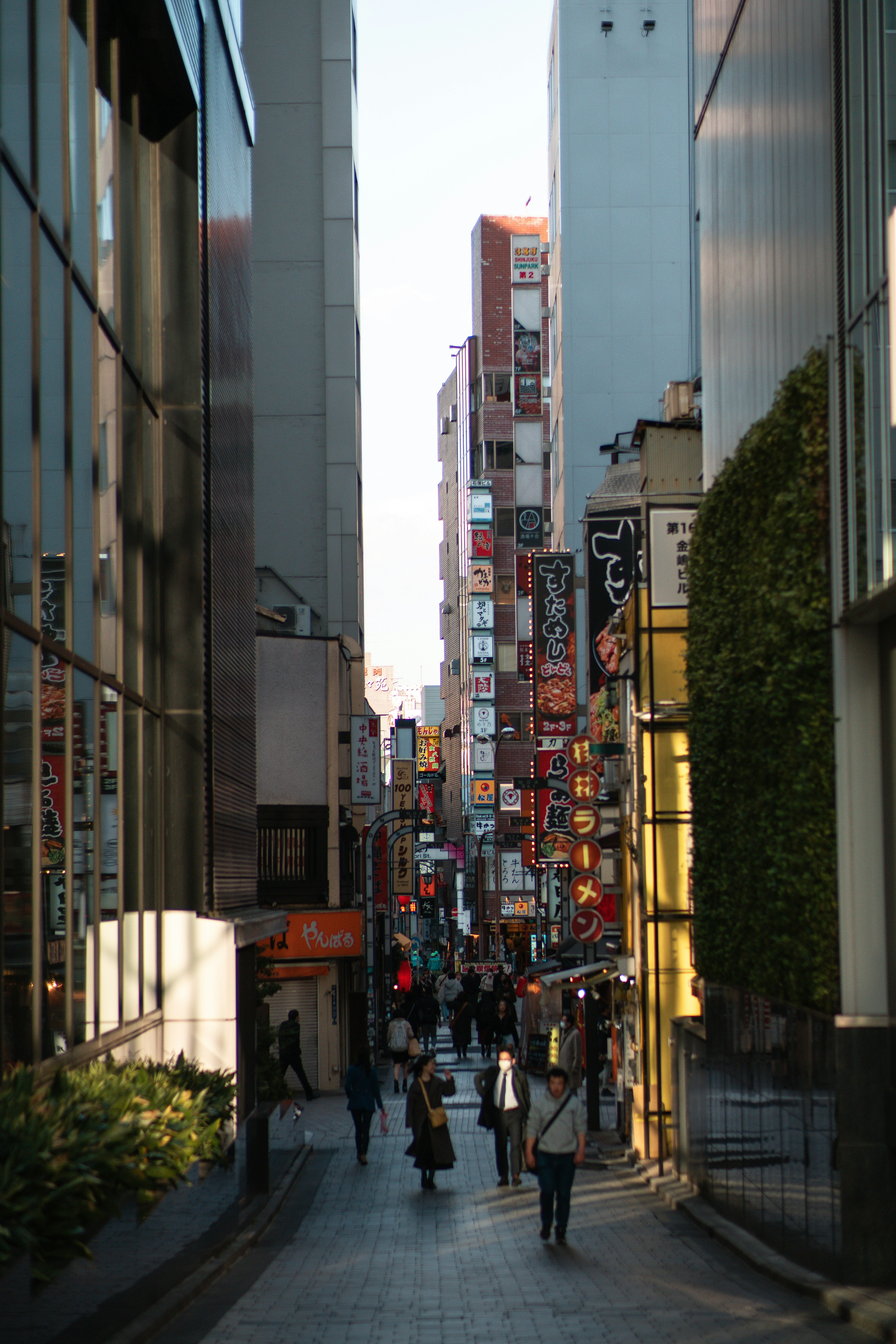 Neon Corridor: Street Life Between Glass and Signboards