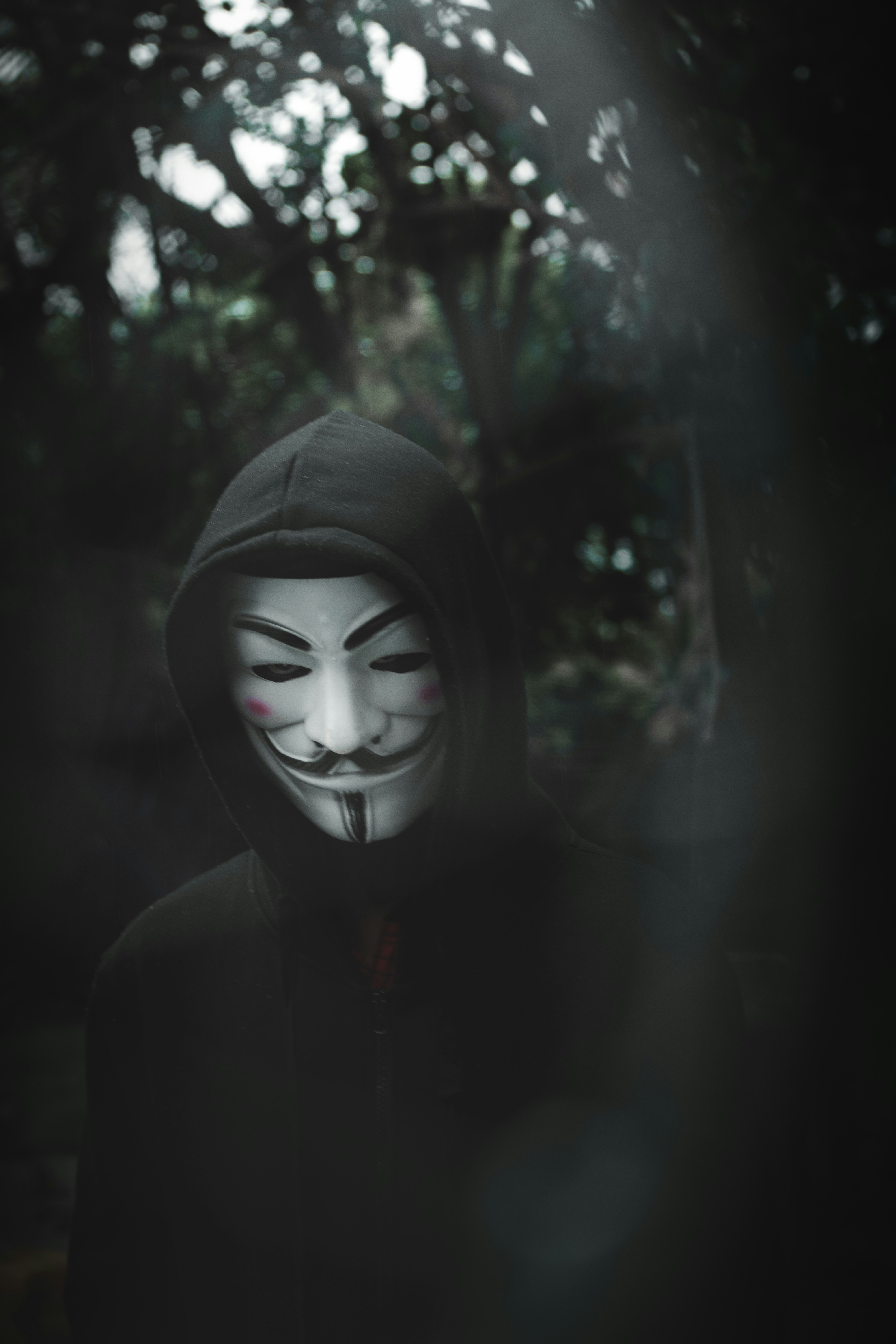 Hidden Mask in the Shadows