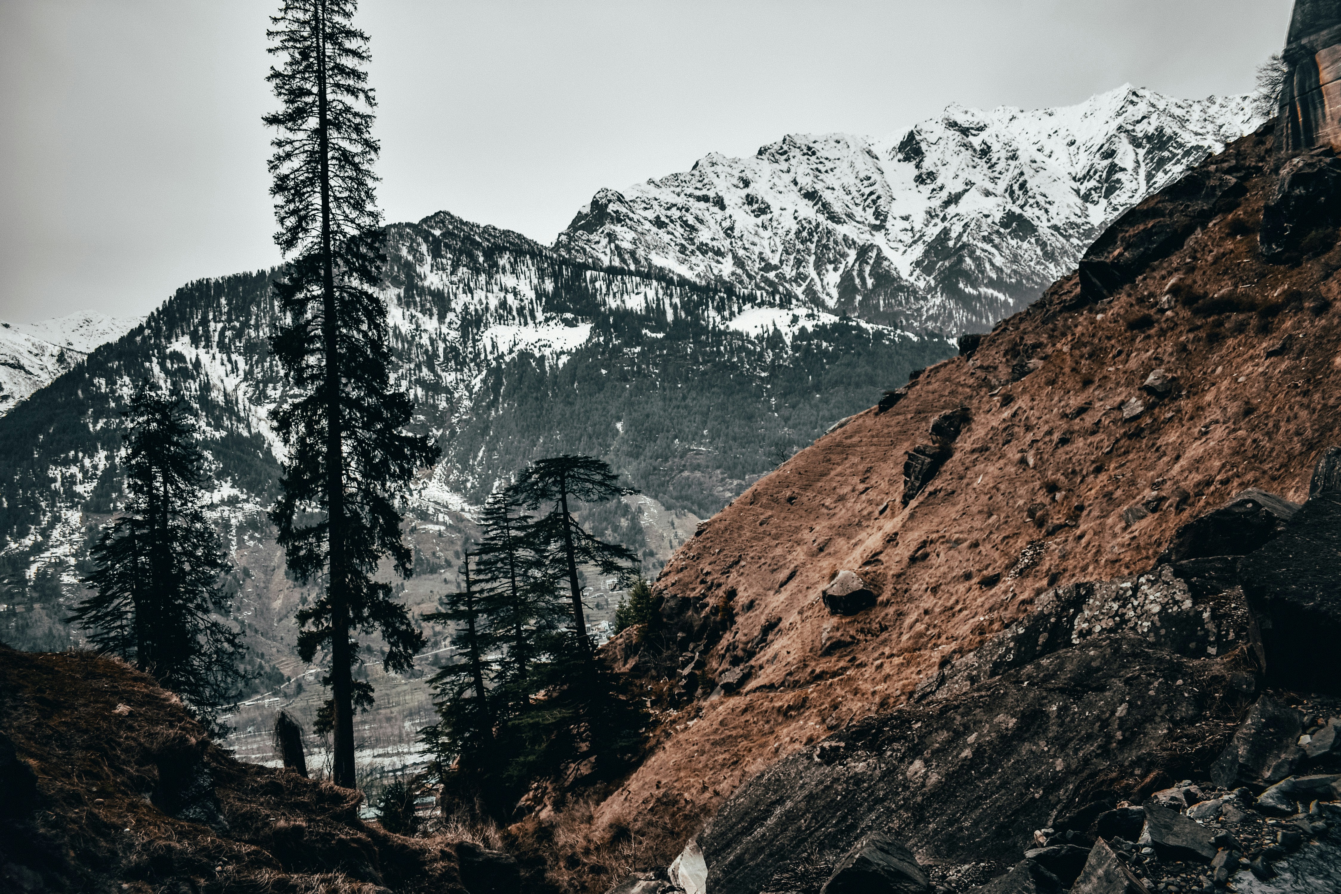 Slope Echoes: Snow-Dusted Peaks Framed by a Rusty Ridge