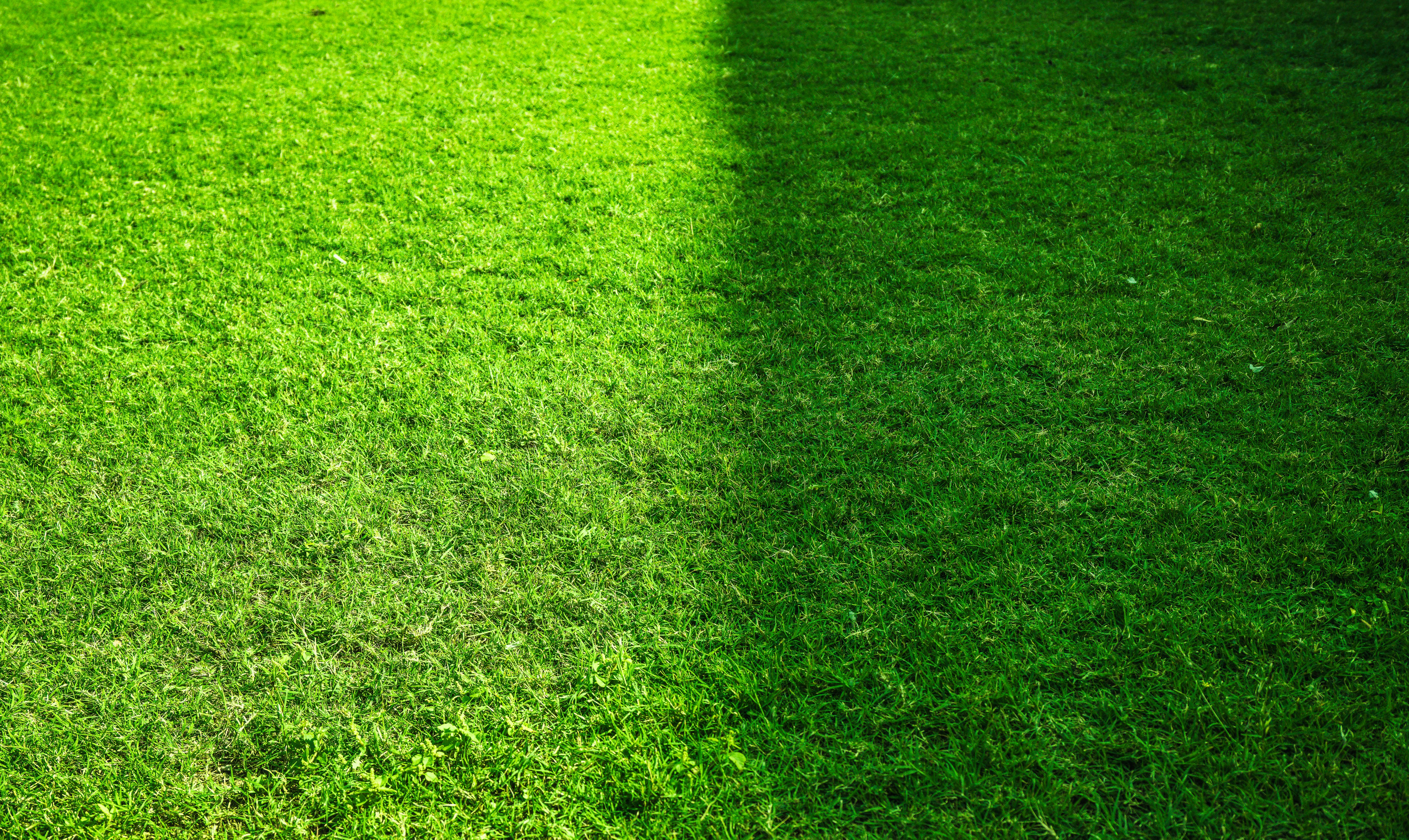 Half-Sunlit Turf: A Split Field of Daylight and Shadow