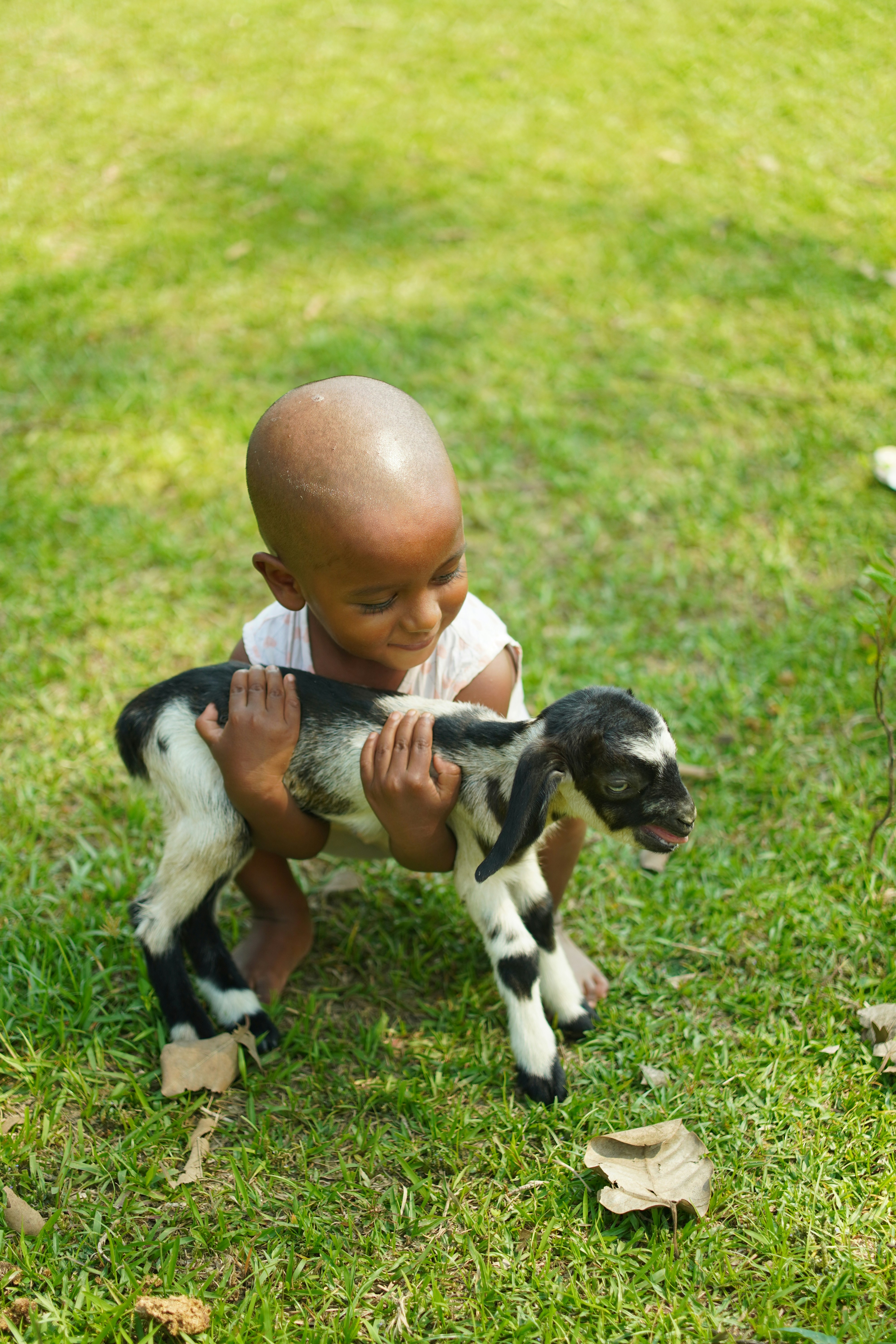 Tender Bond: A Child and a Goat-Calf Share a Quiet Moment on Grass