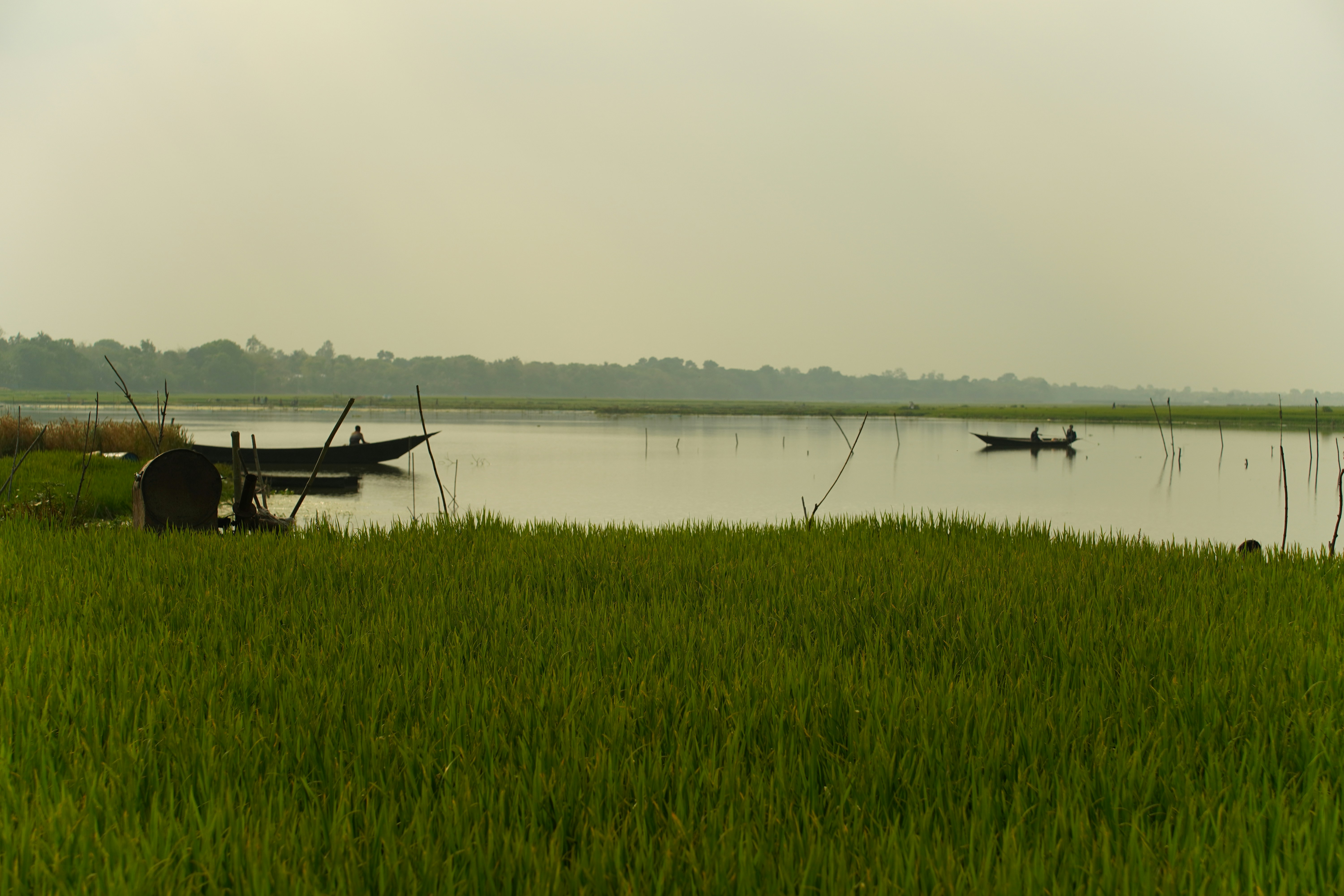 Marsh Evening: Boats, Grass, and Quiet Water