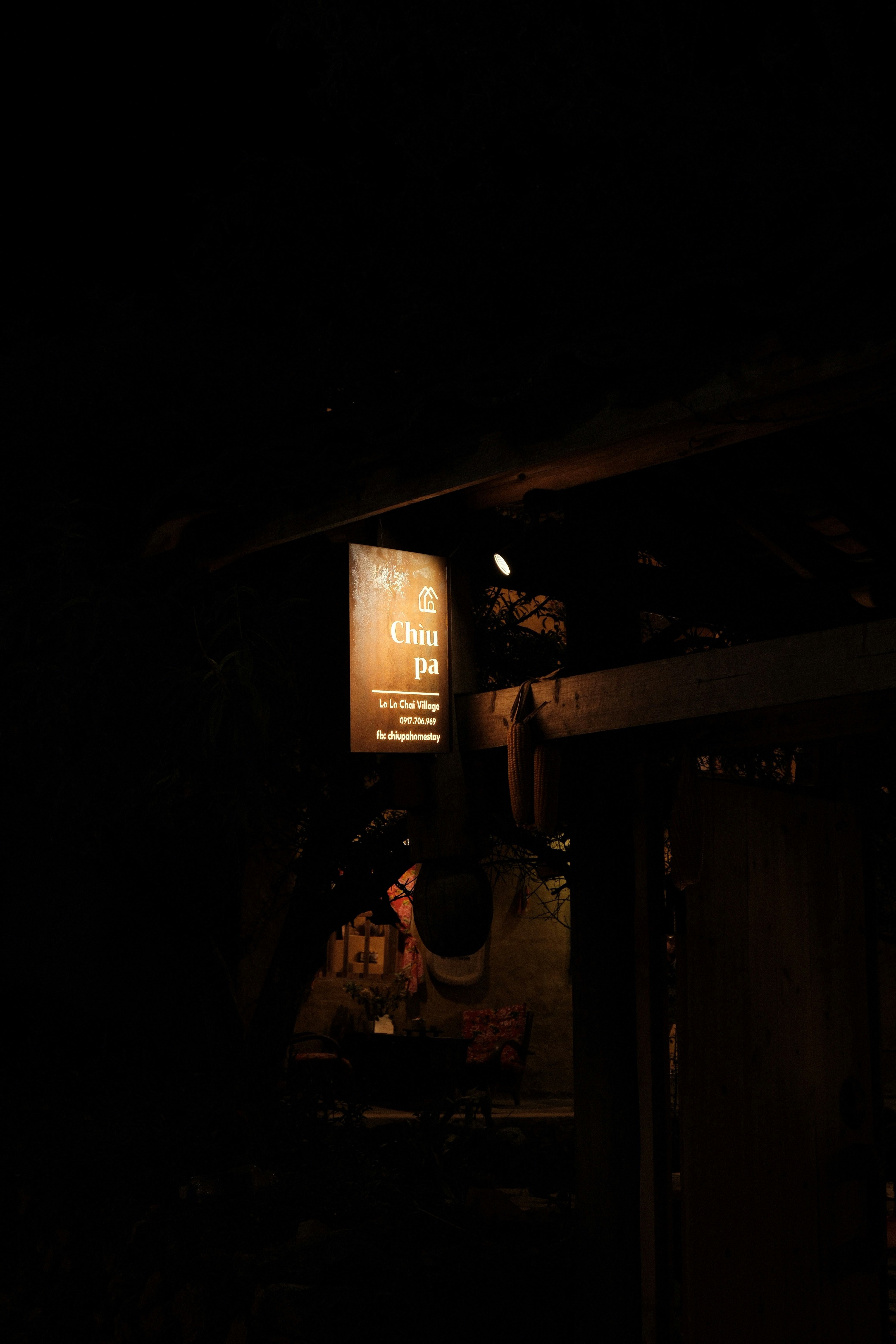 Softly Lit Veil: A Quiet Sign in the Night