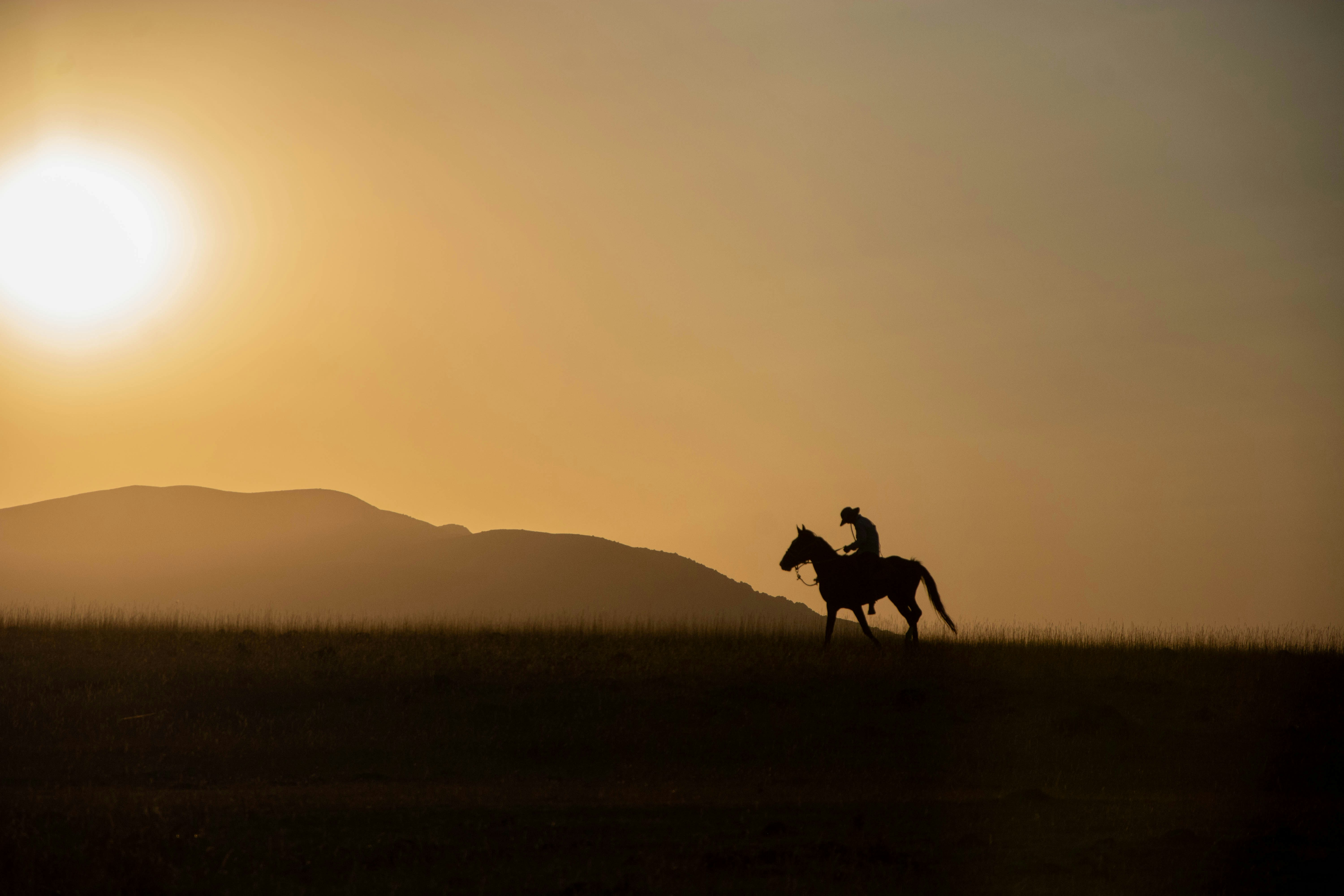 Solitary Rider Silhouette at Dusk