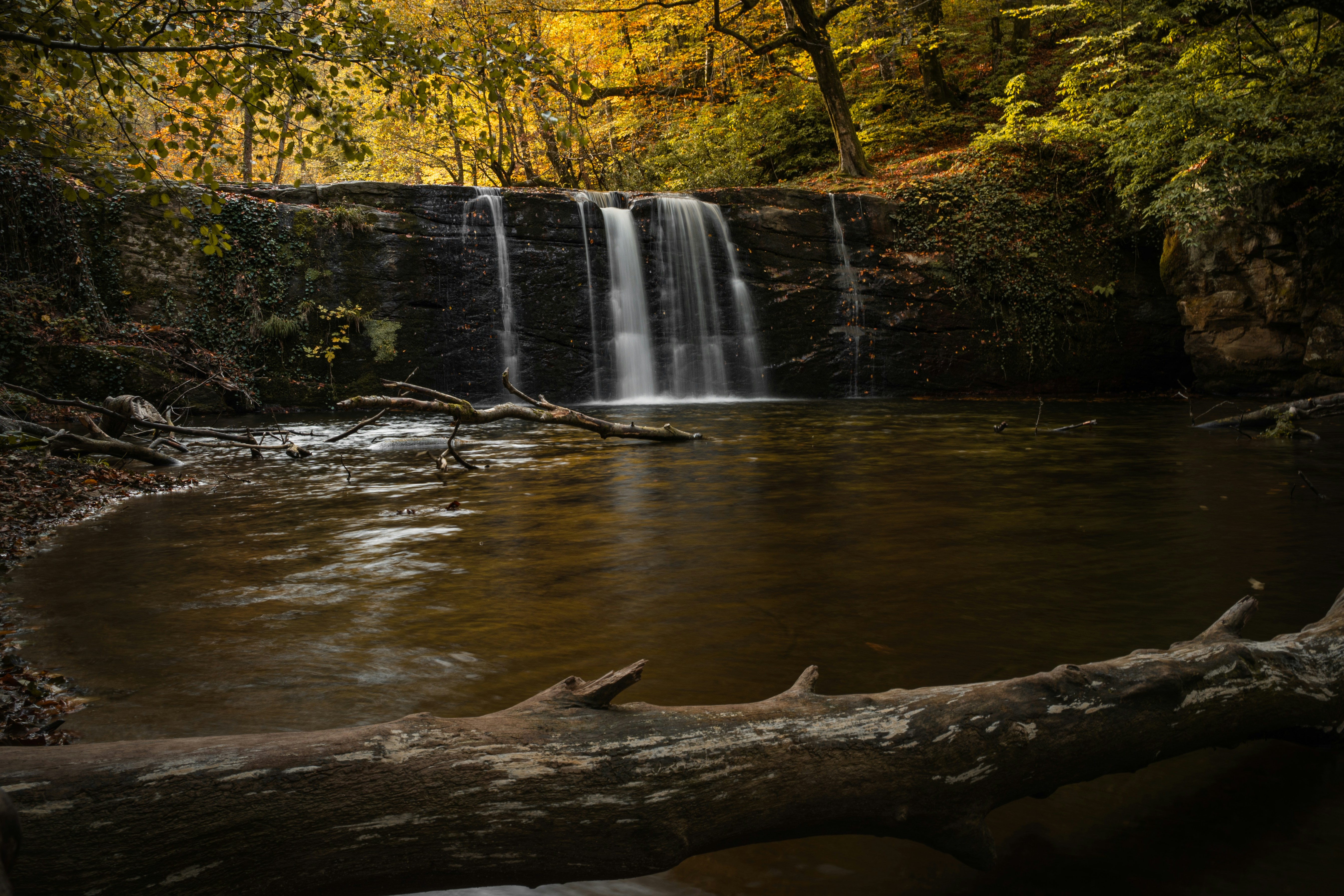 Whispering Falls Across a Forest Pool