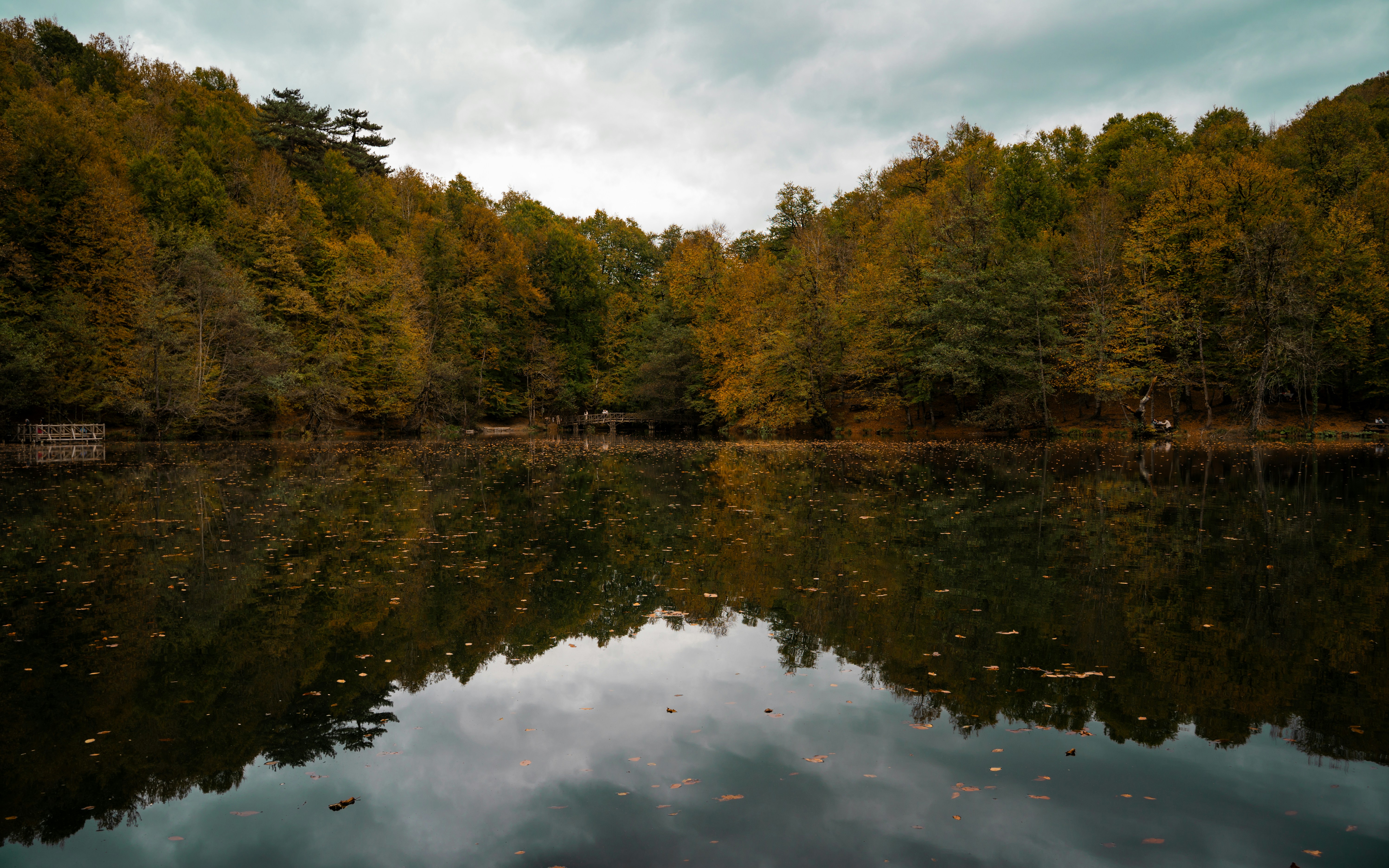 Autumn Lake Mirror: Quiet Trees Framing a Sealed Horizon