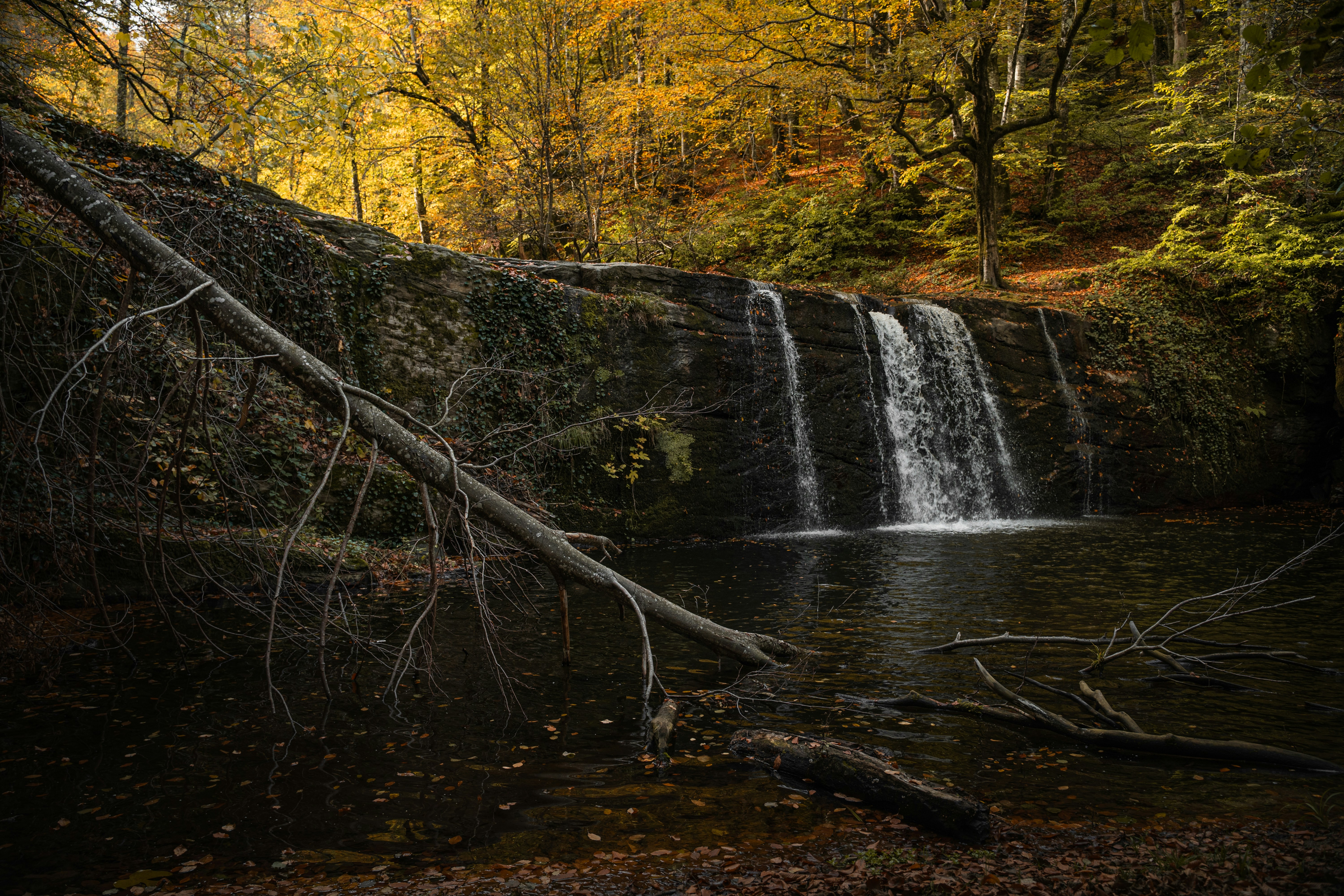 Autumn Falls at the Riverbank