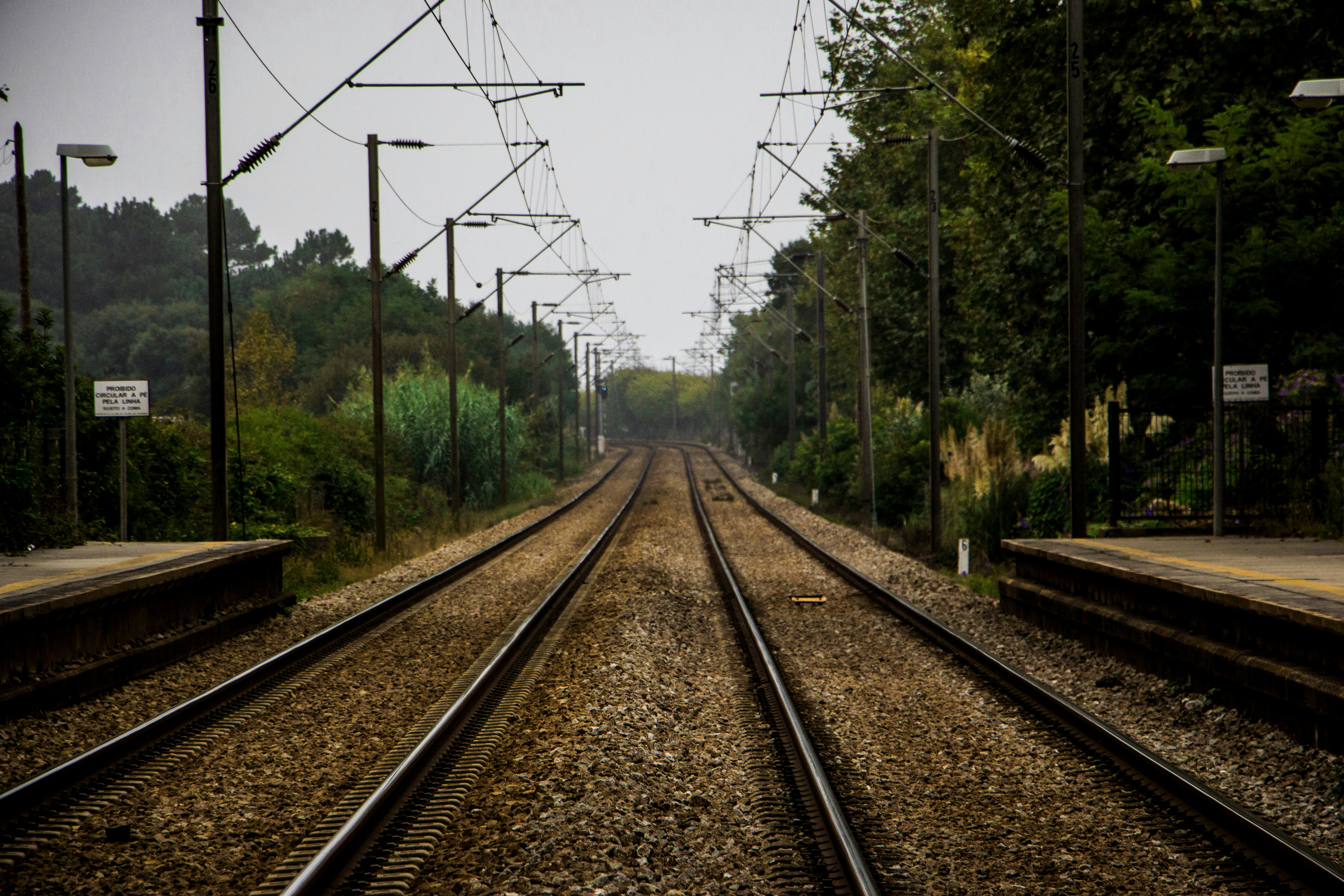 Tracks into the Distance: A Symmetrical Perspective on Rails