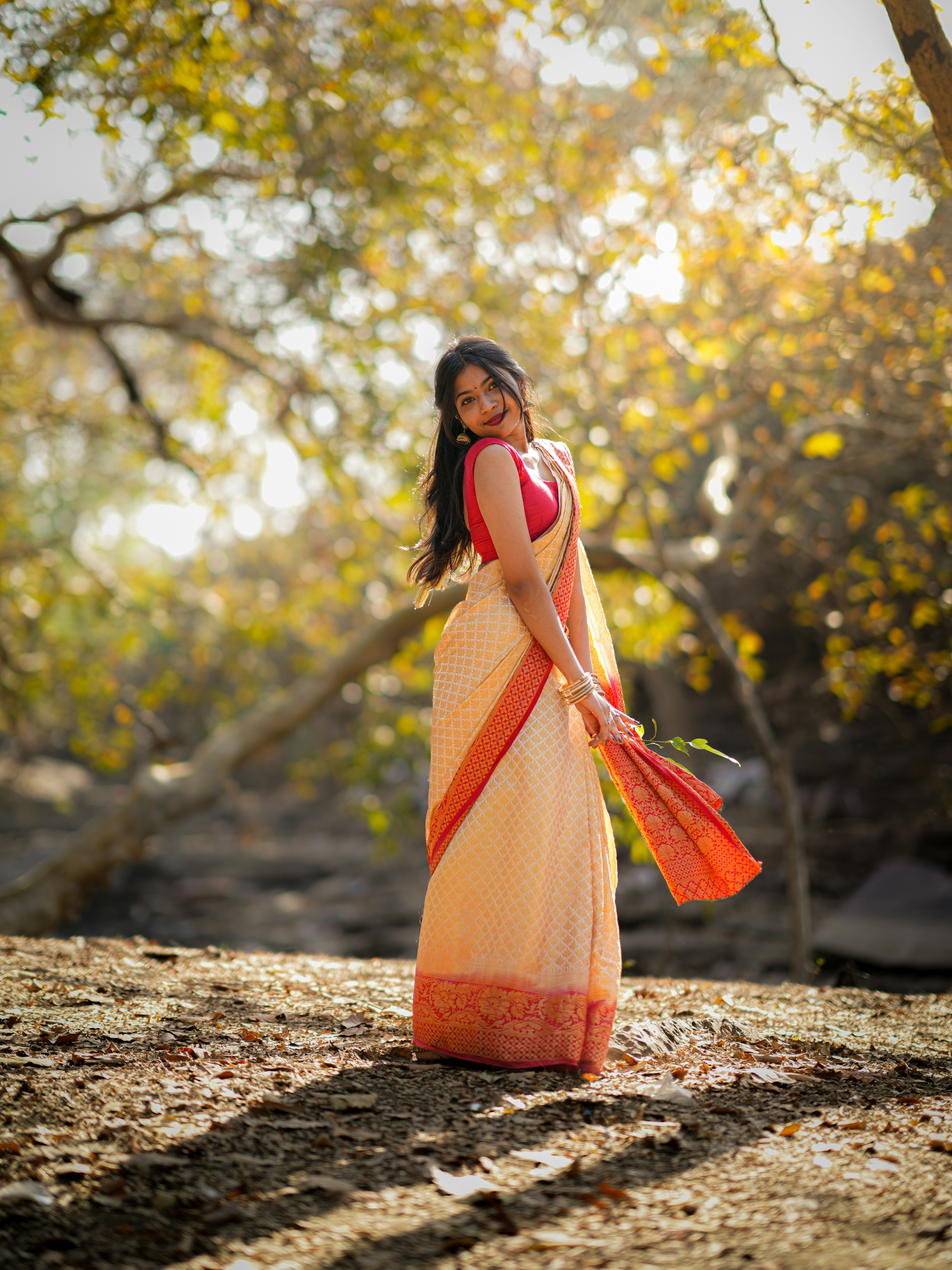 Sunlit Sari: Portrait of Grace Under Autumn Light